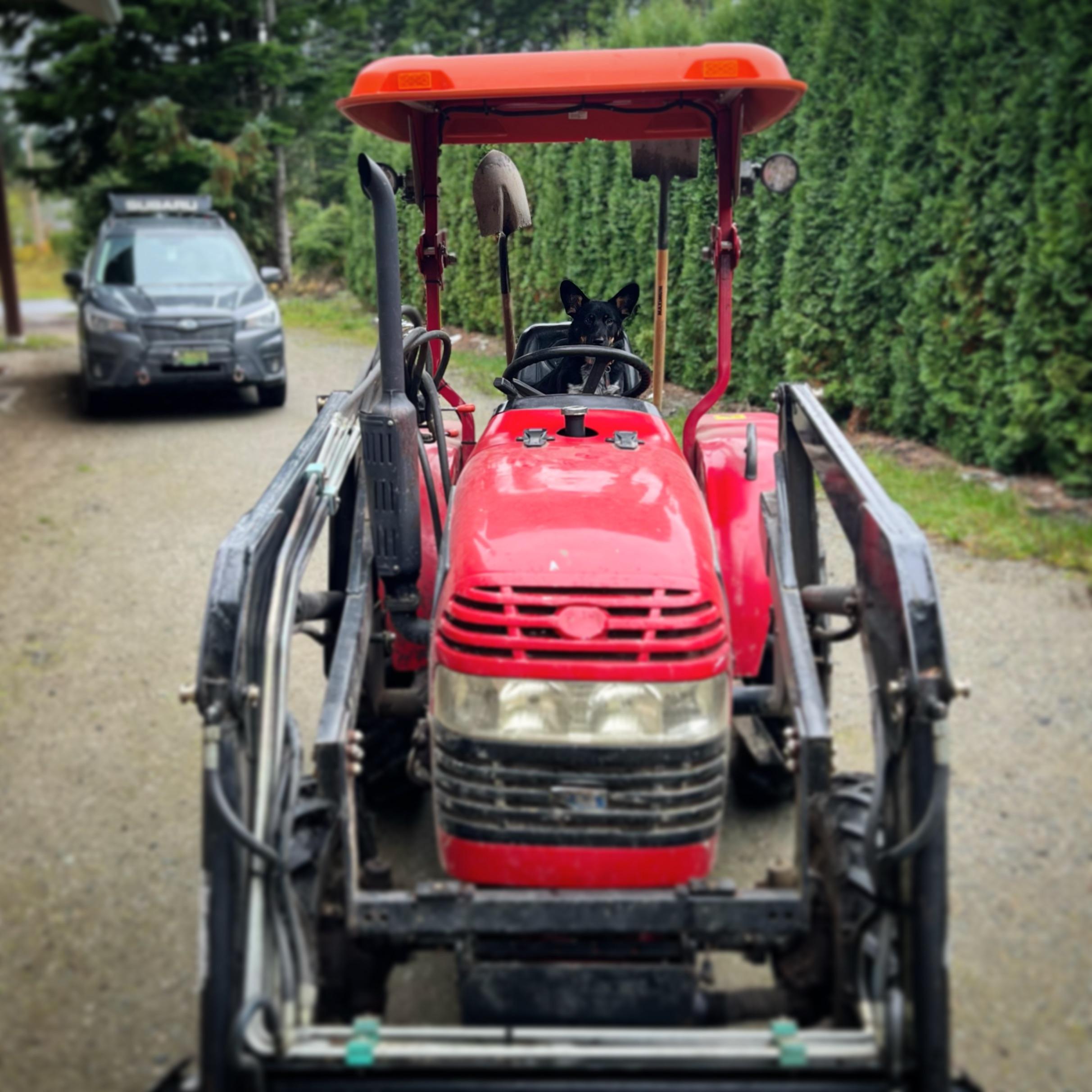 Farm pup pup | Scrolller