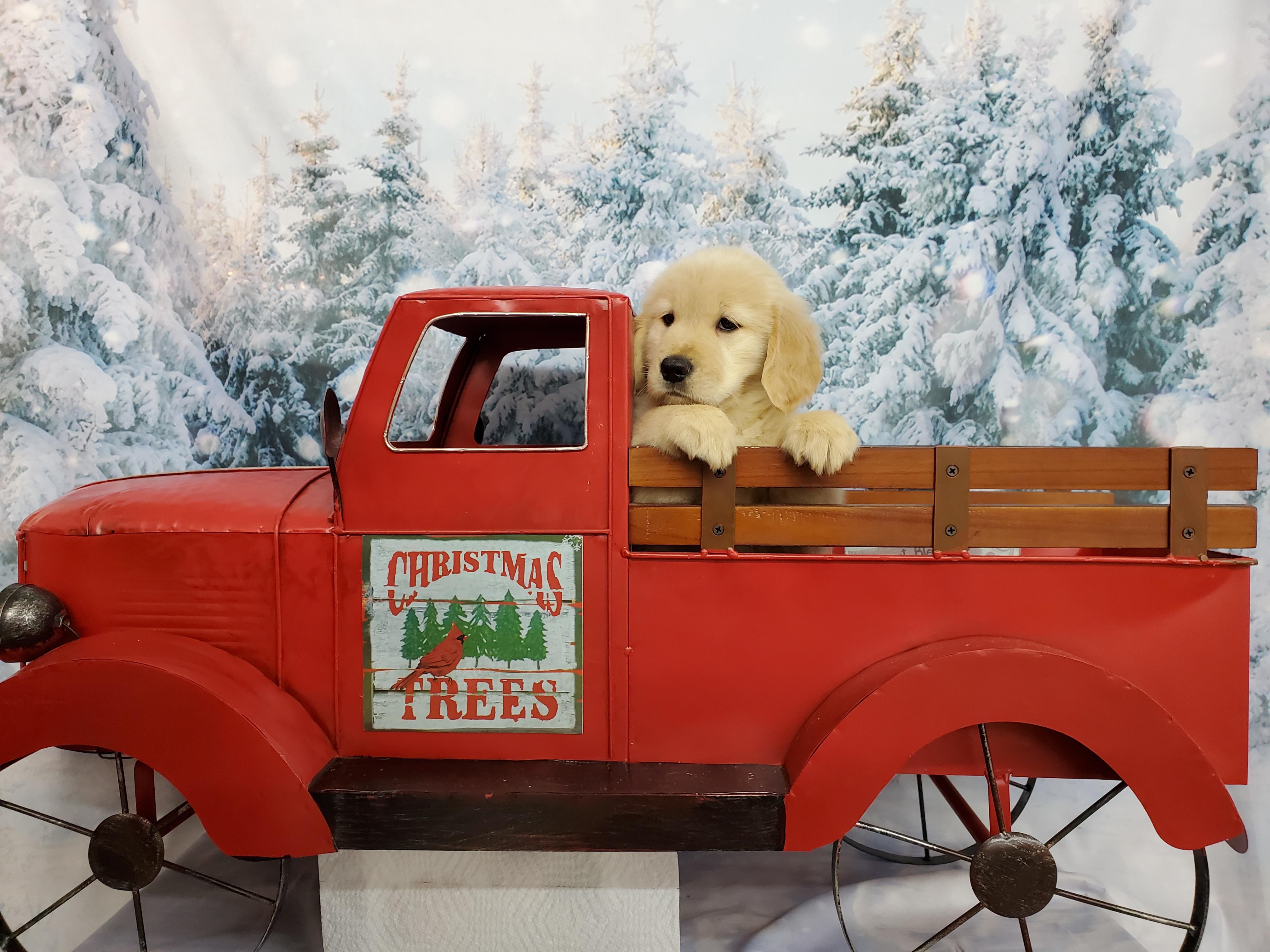 Merging two photos | Scrolller