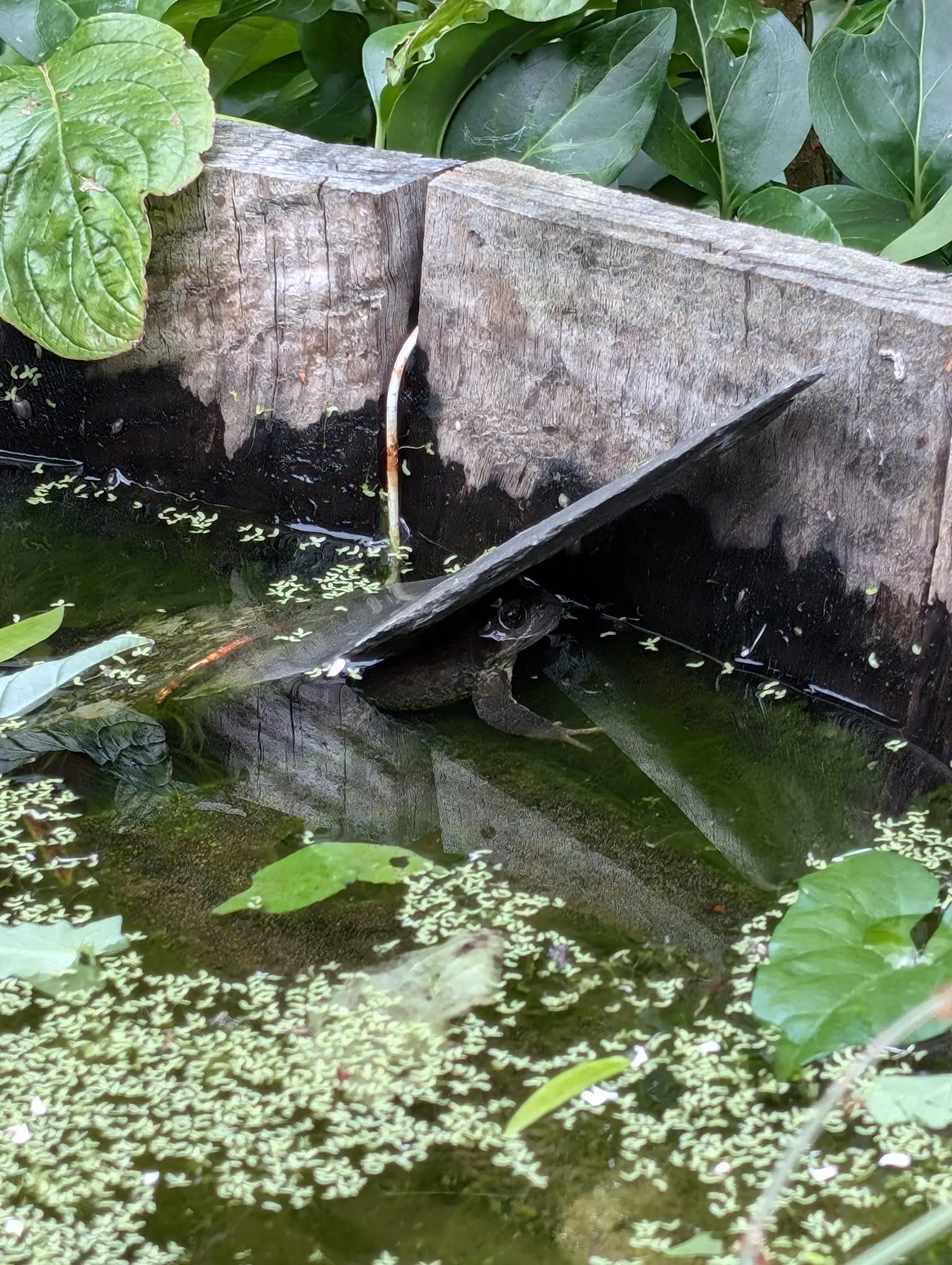 L’il visitor | Scrolller