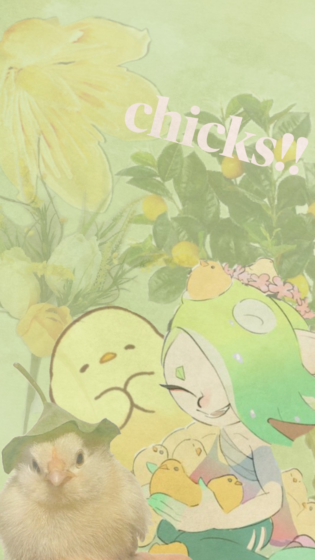 I made some wallpapers for each team!! Bunny ftw tho 💪🏻 | Scrolller