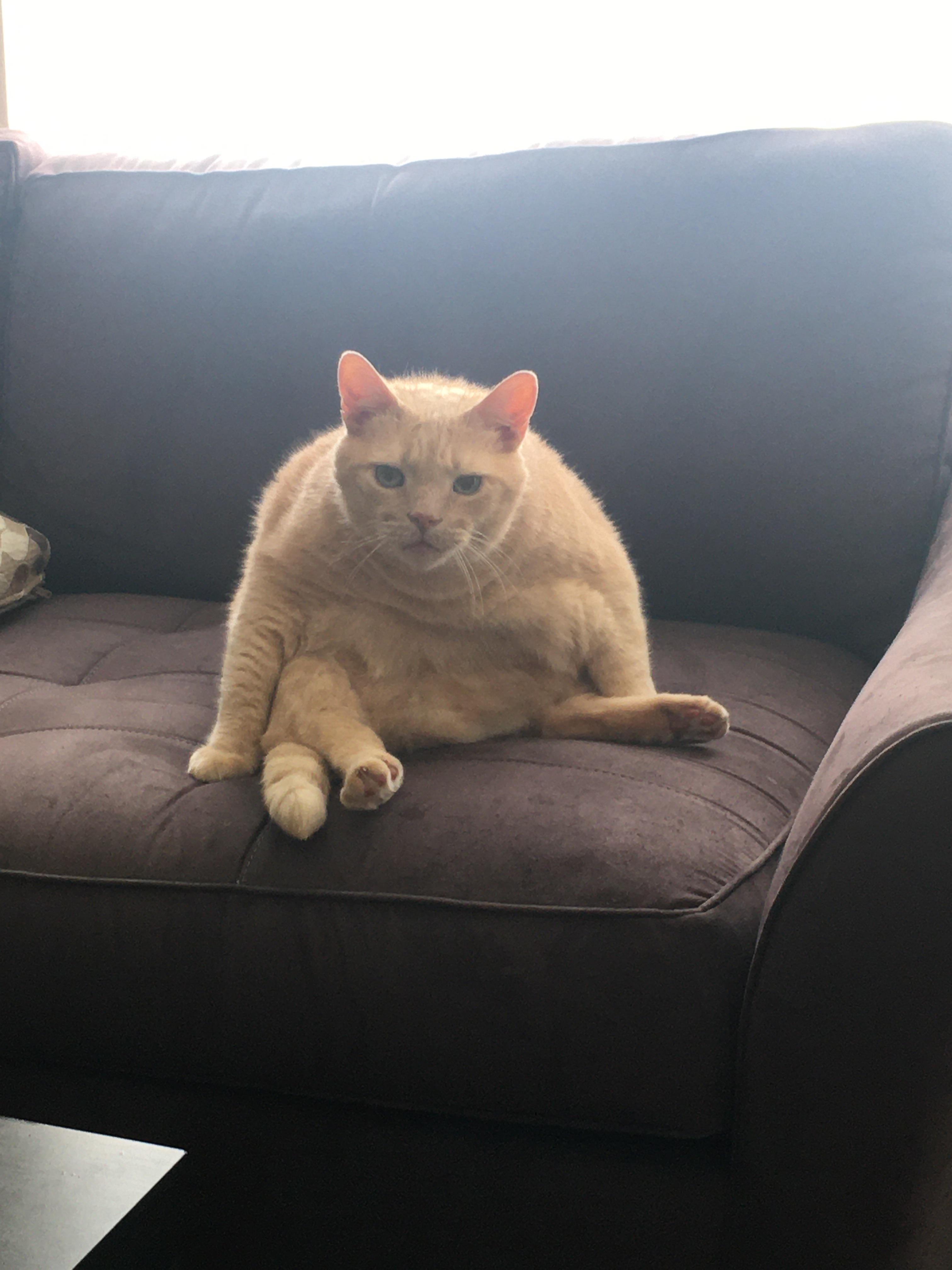 Discover more like Aww: (OC) Meet Jess and Related Content | Scrolller