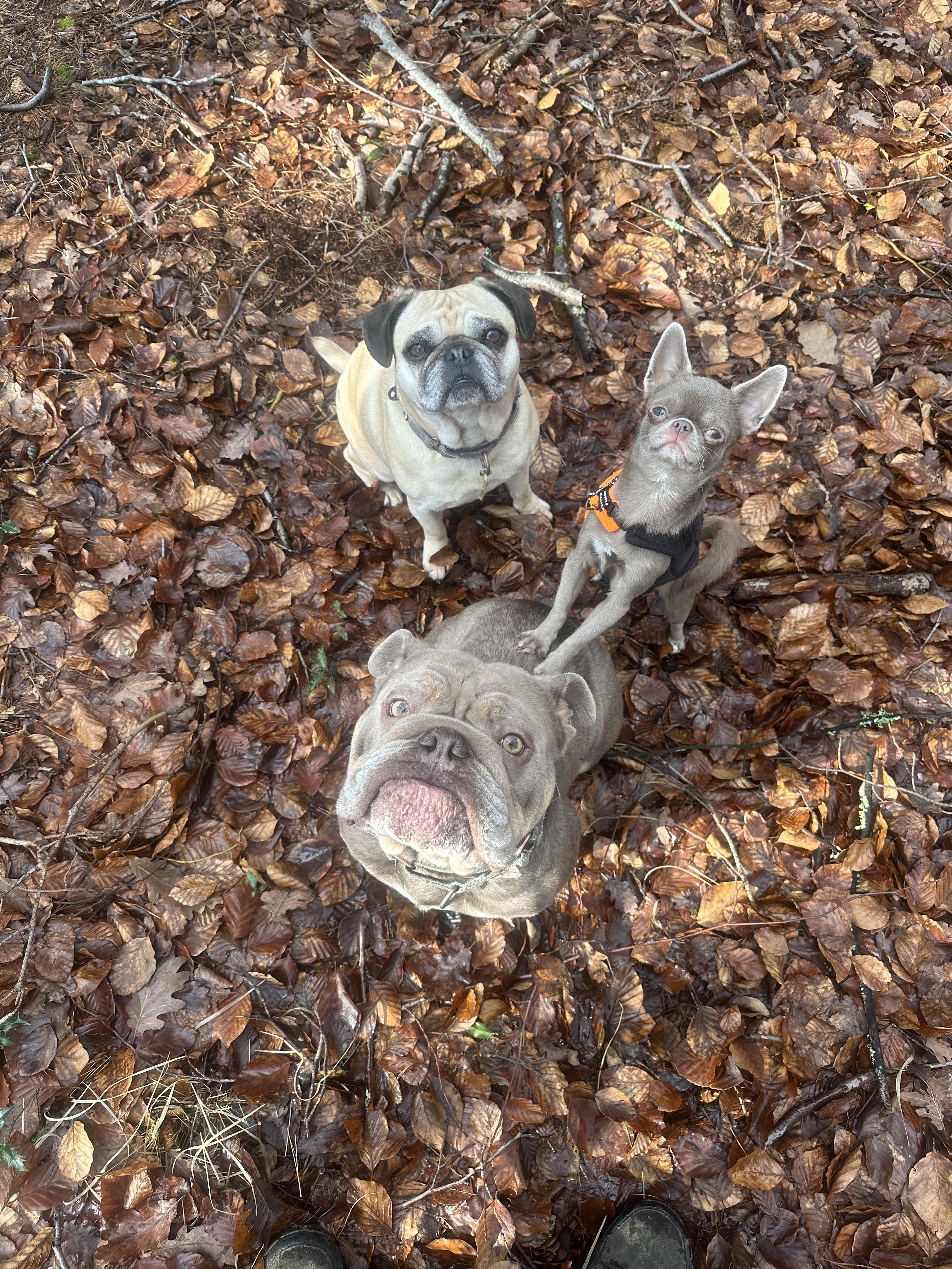 The Unholy Trinity (redux) | Scrolller