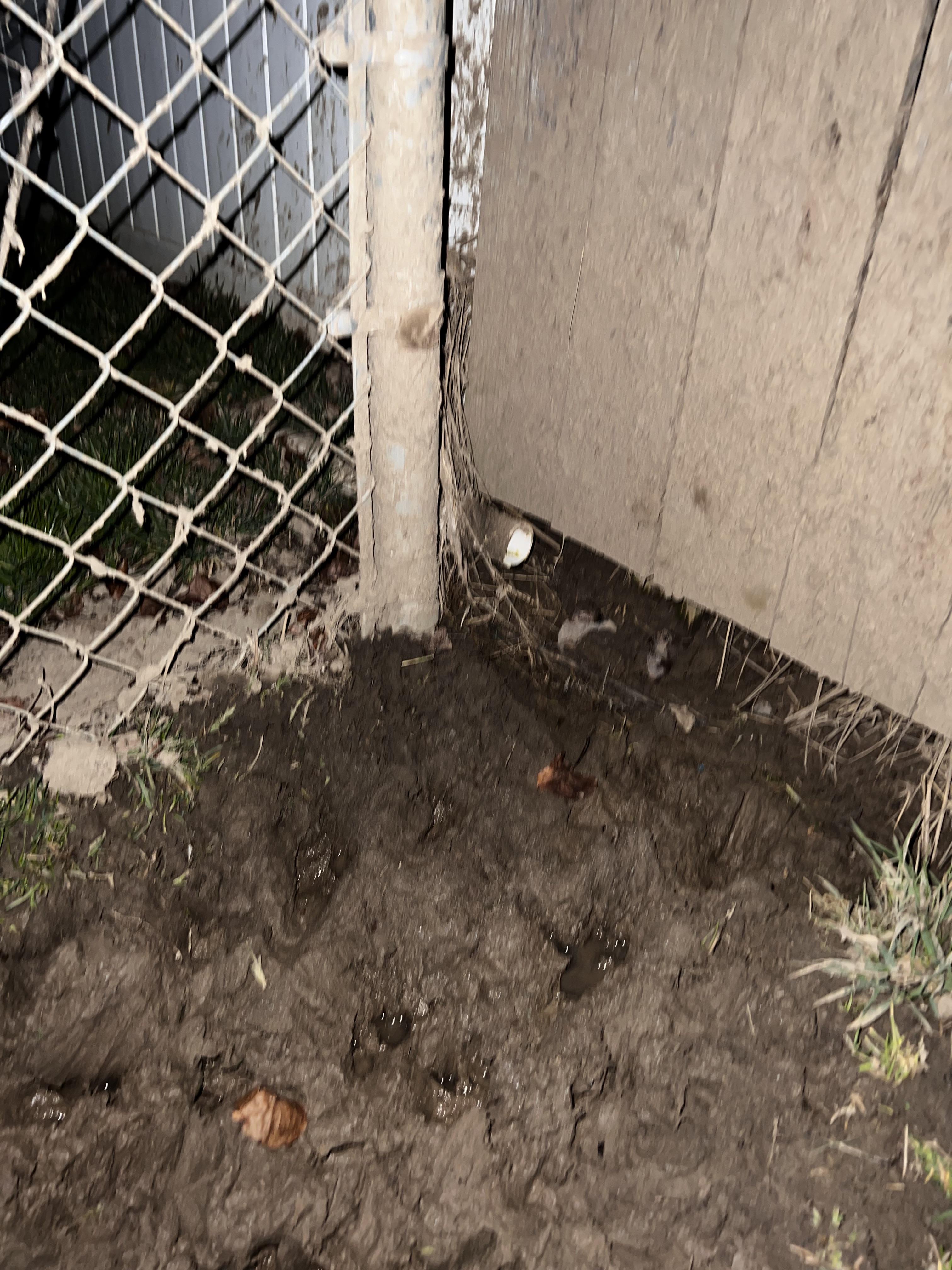 Leaking pvc pipe | Scrolller