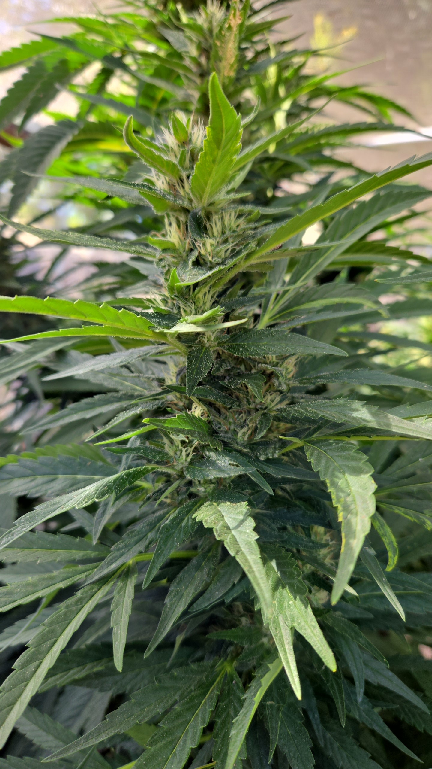 Not so secret stash | Scrolller