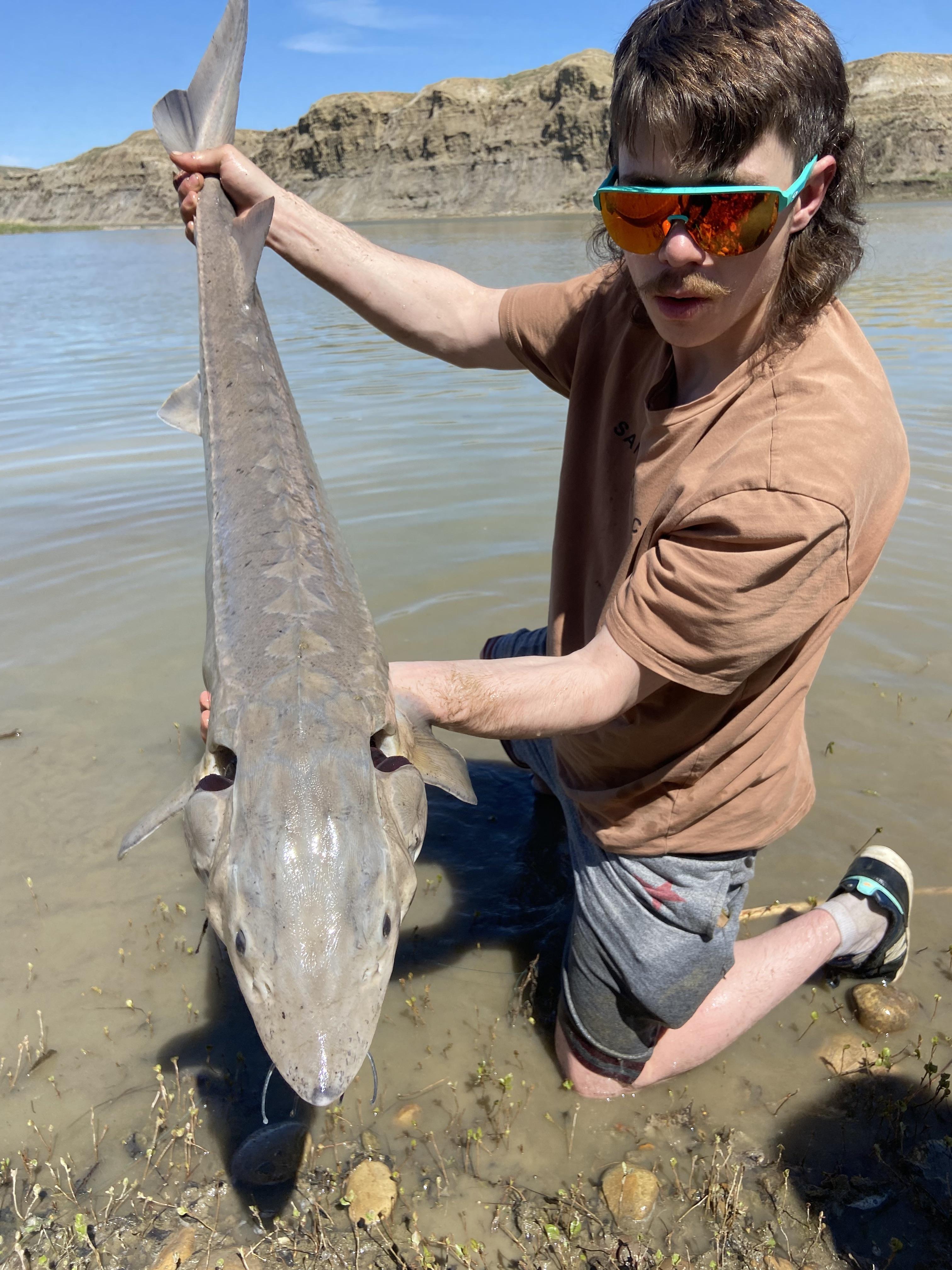 Dino addiction | Scrolller