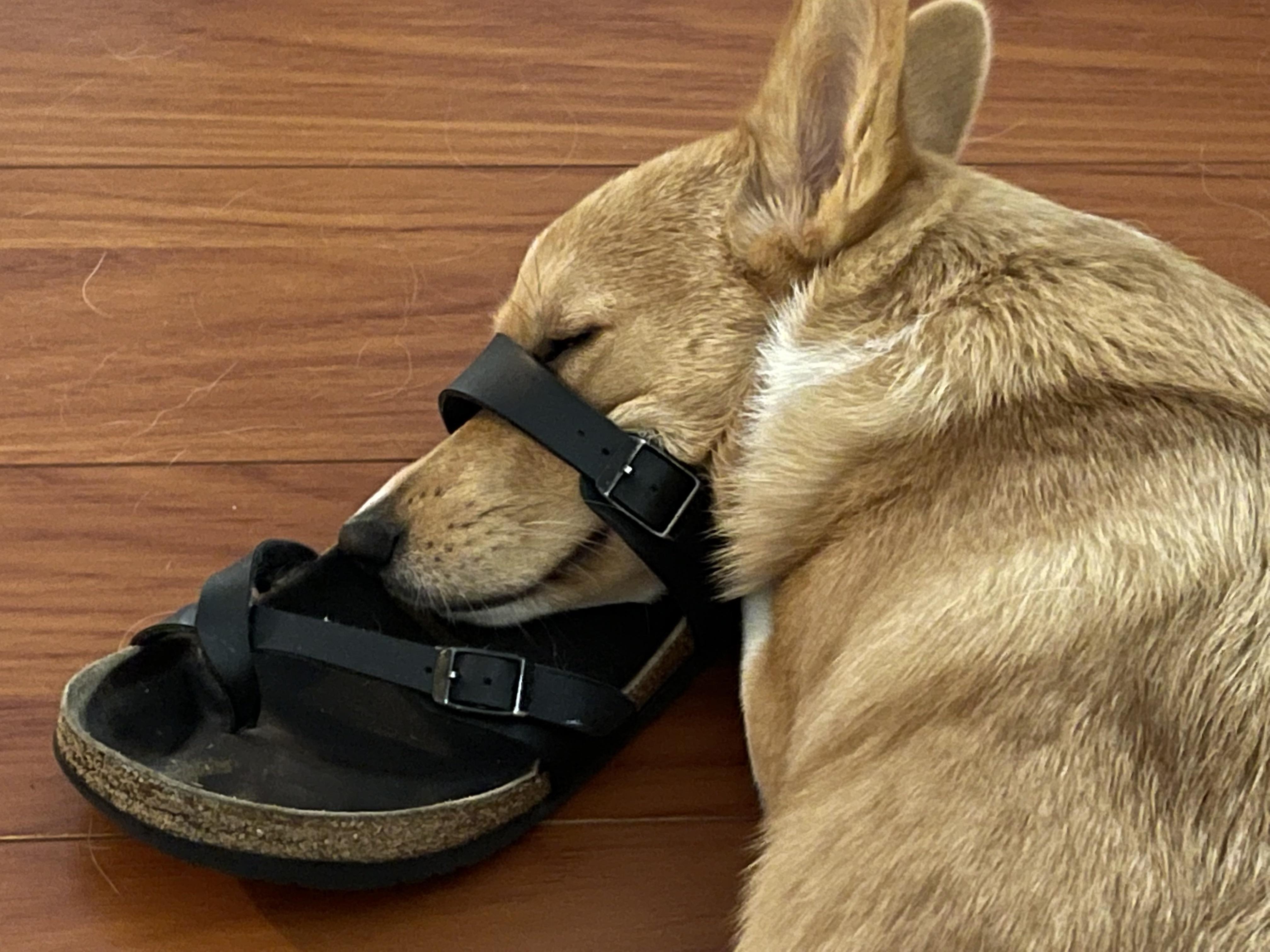 Show me your weird/uncomfortable spots. | Scrolller