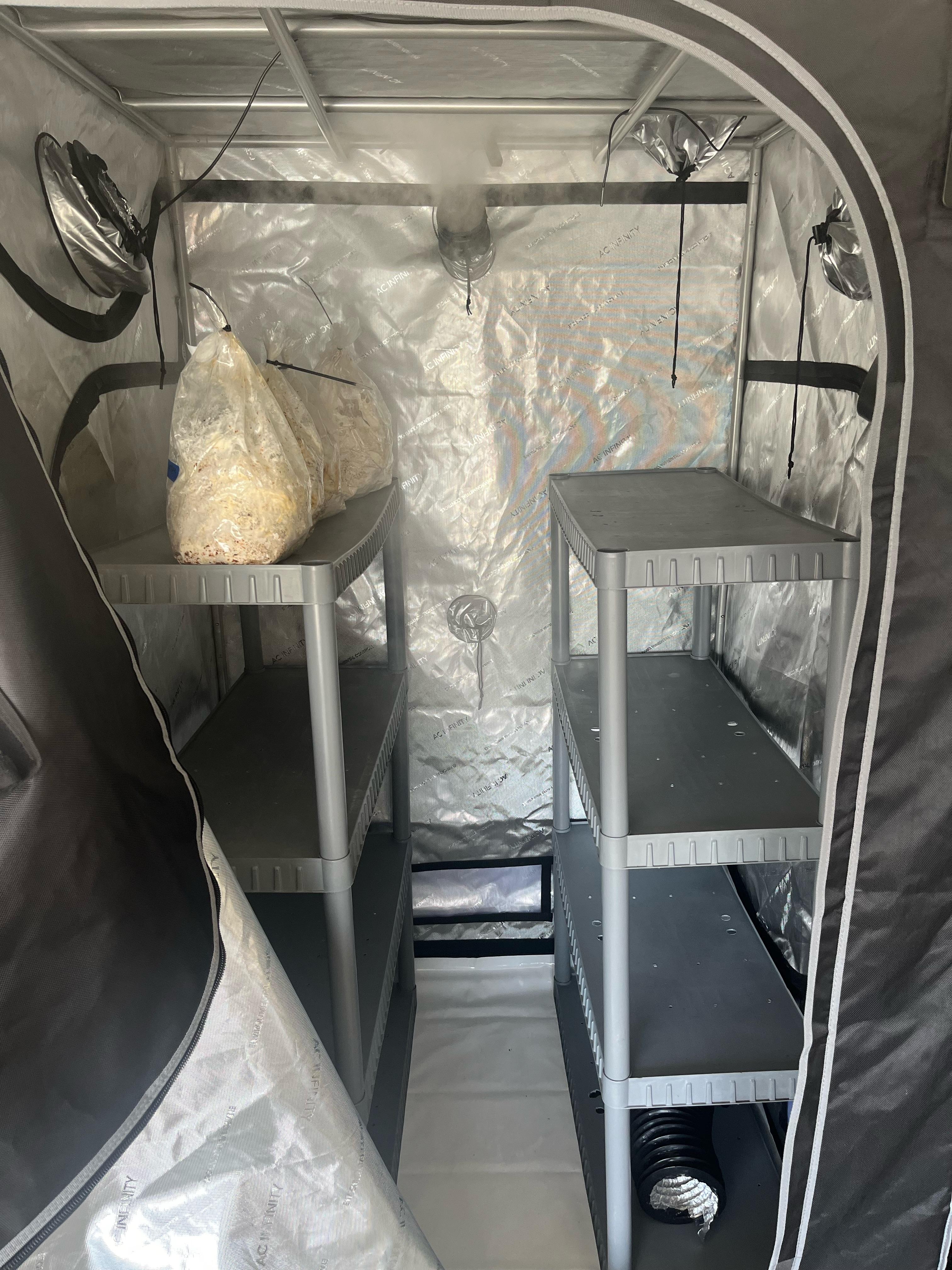[general] my first official tent grow …. Sheesh | Scrolller
