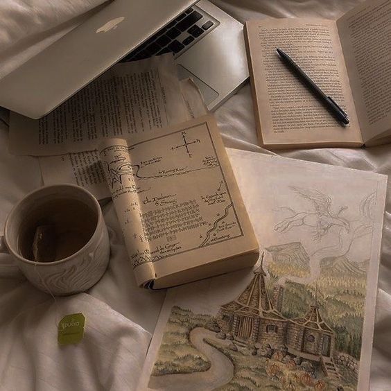 Aesthetic Vibe of an introvert | Scrolller