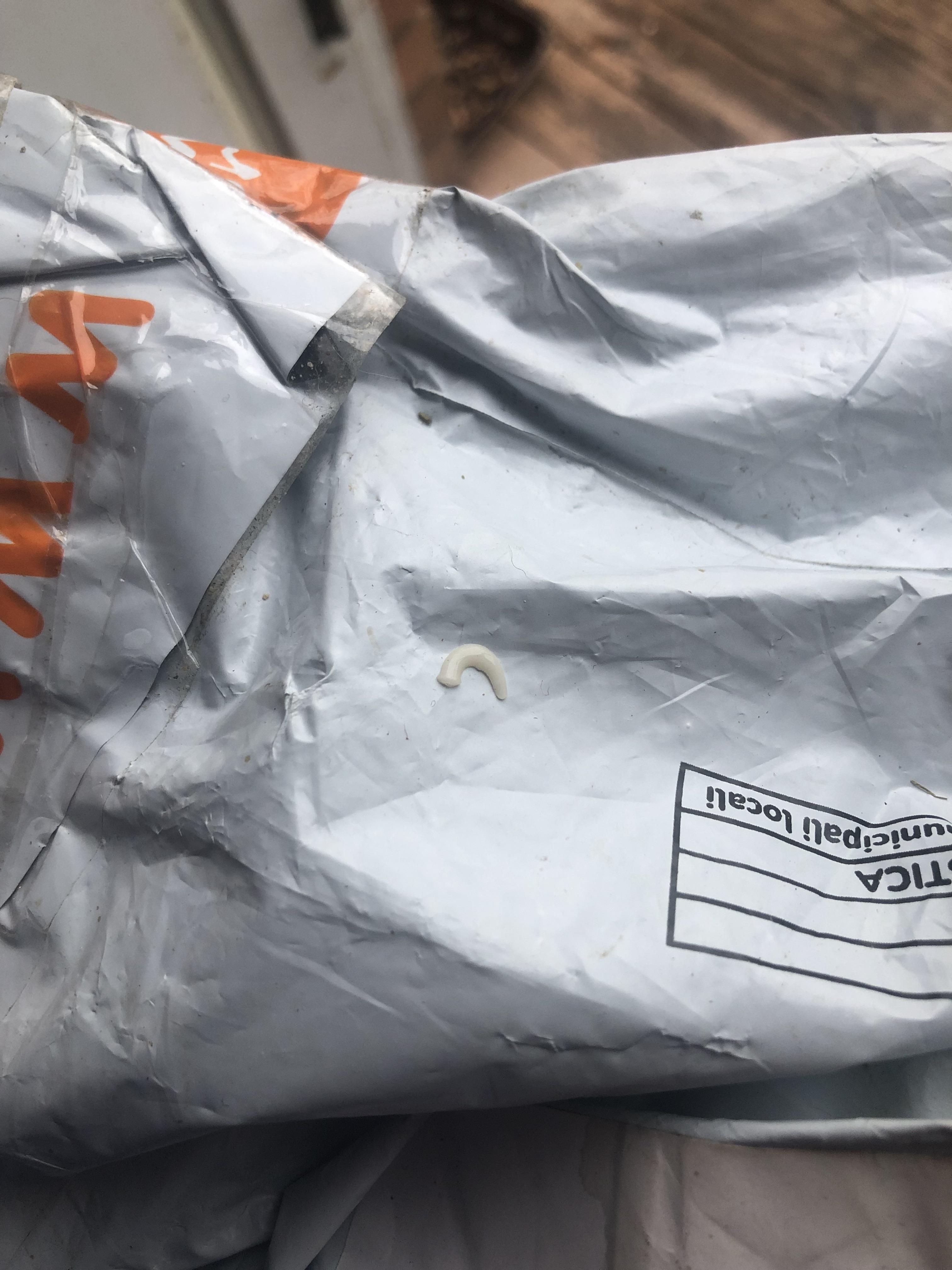 What is this worm?? | Scrolller