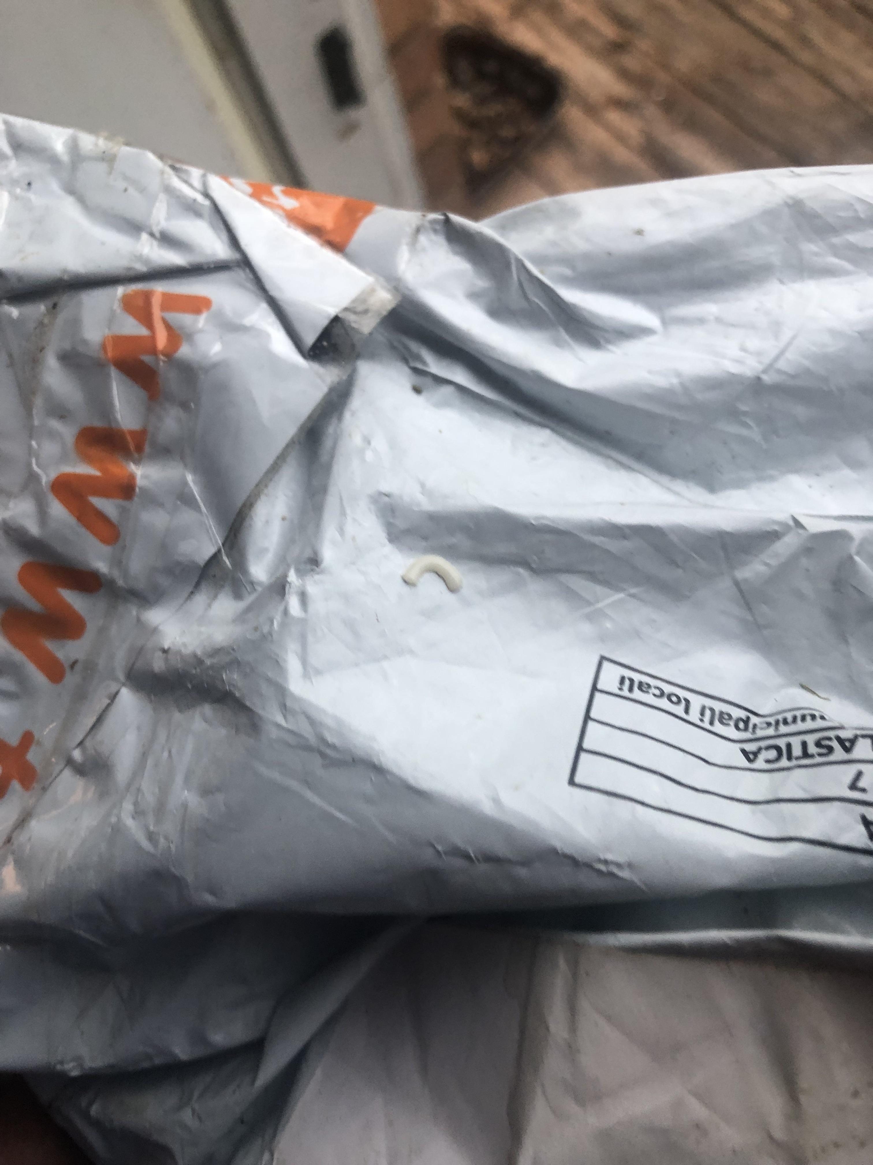 What is this worm?? | Scrolller