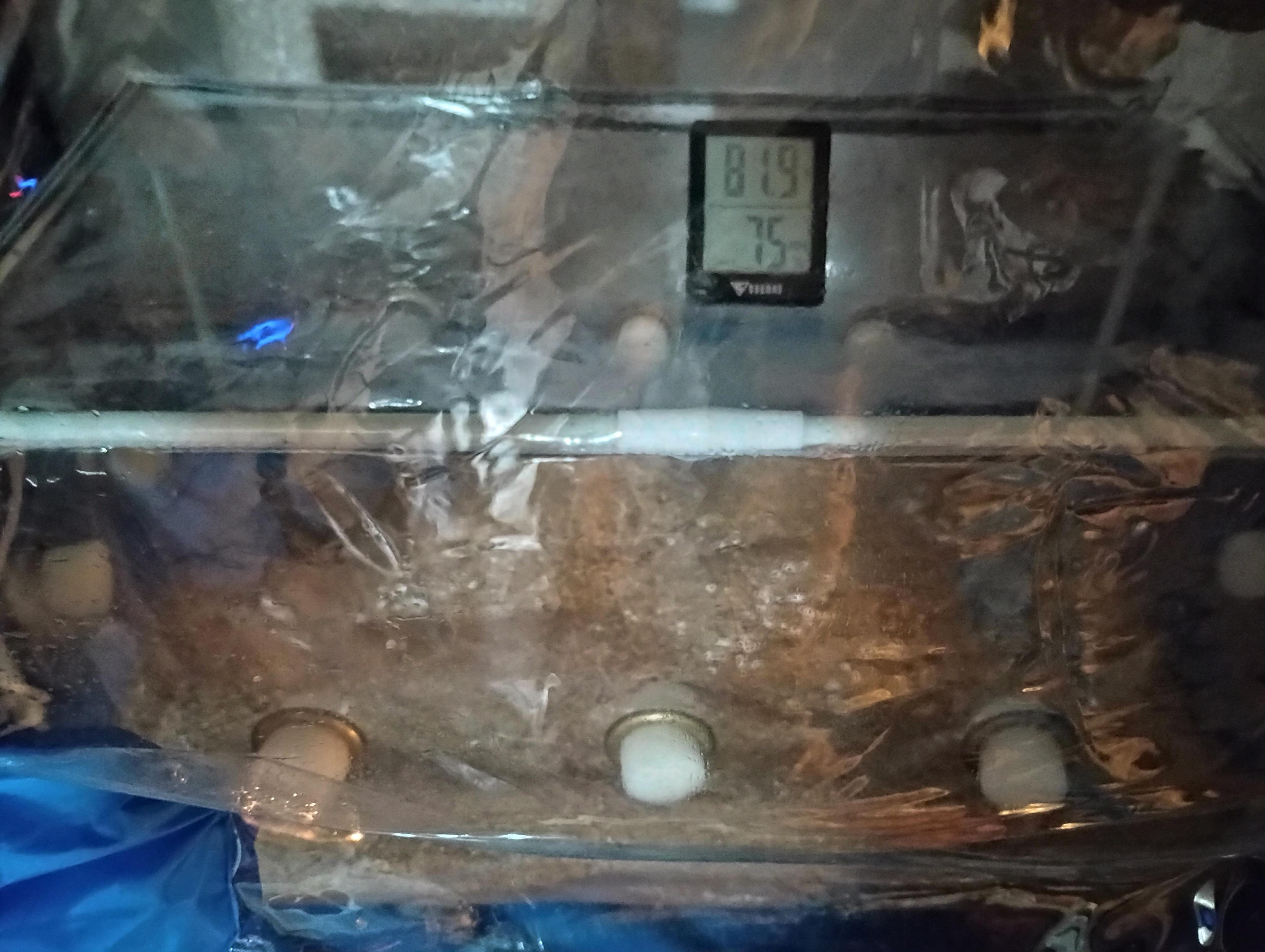 Is this correct? | Scrolller