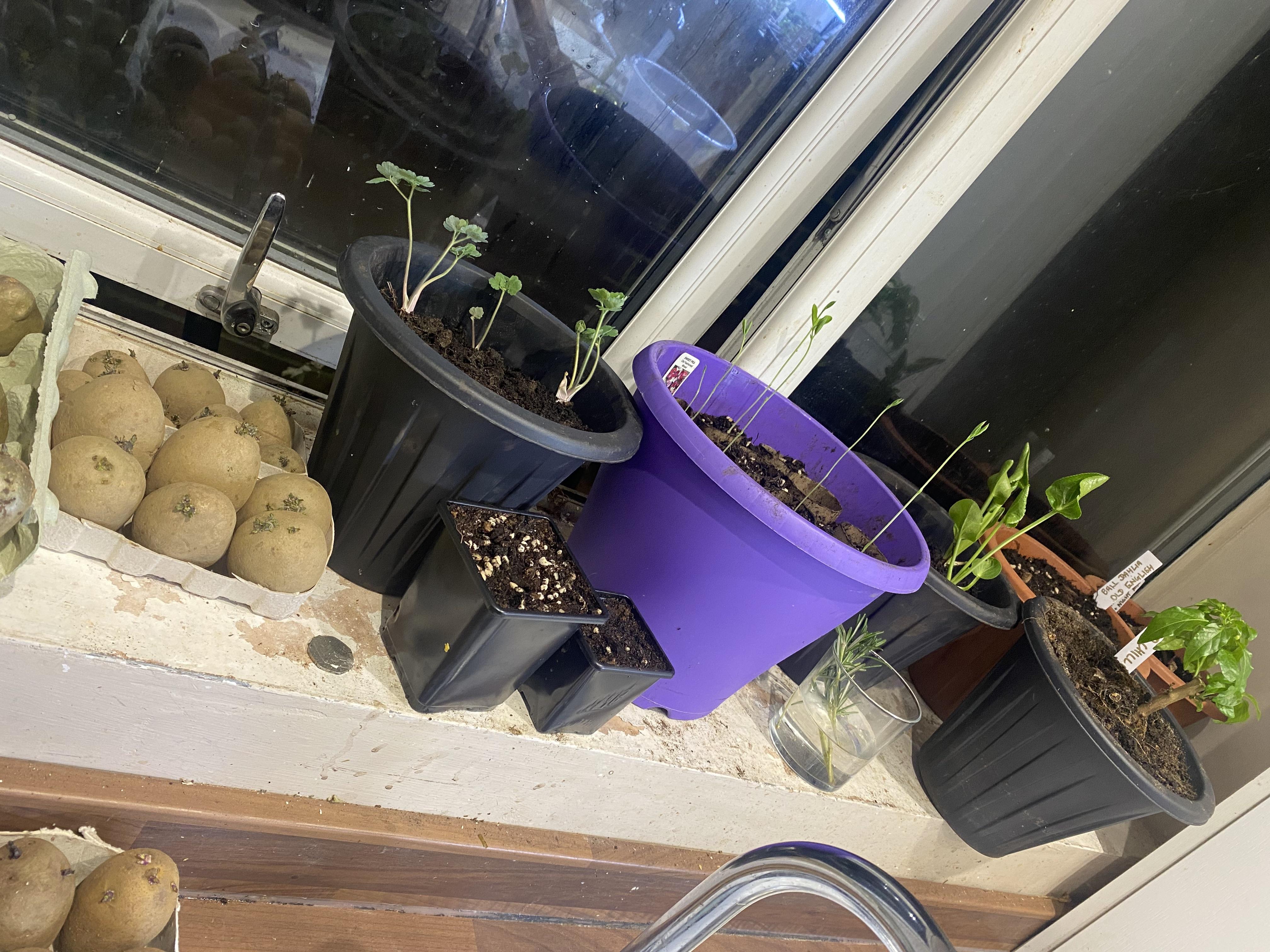 Things are heating up! ☀️🌻 | Scrolller