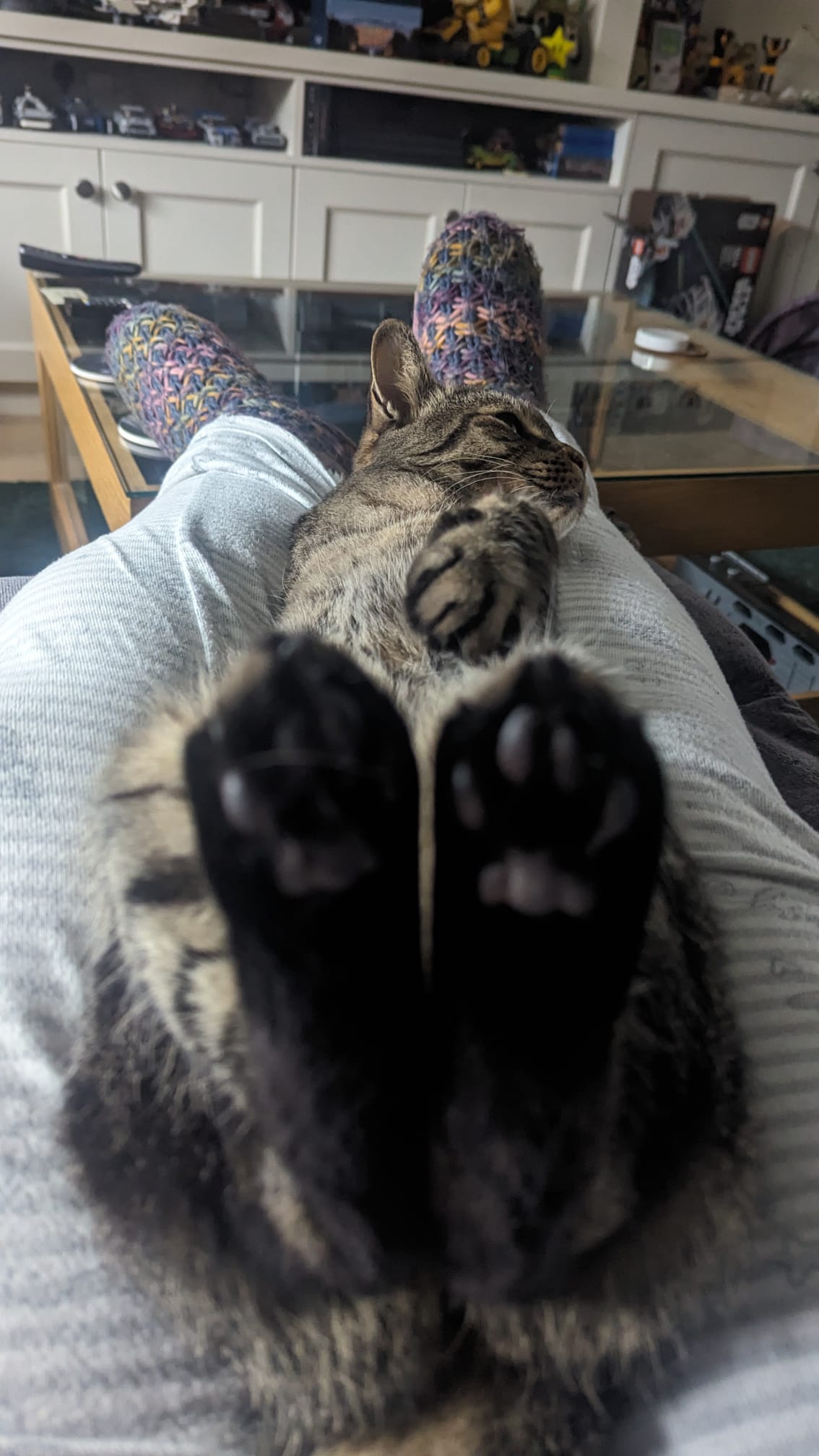 Have you seen these beans! | Scrolller