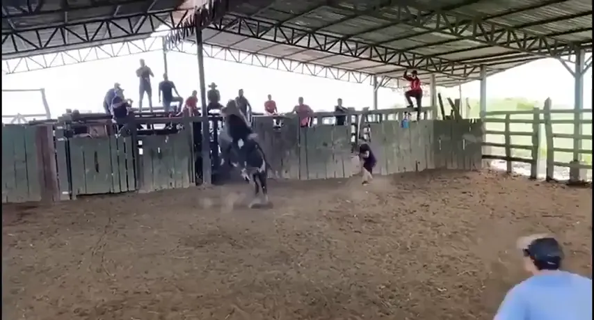 Ladies and gents I present you the double tap! | Scrolller