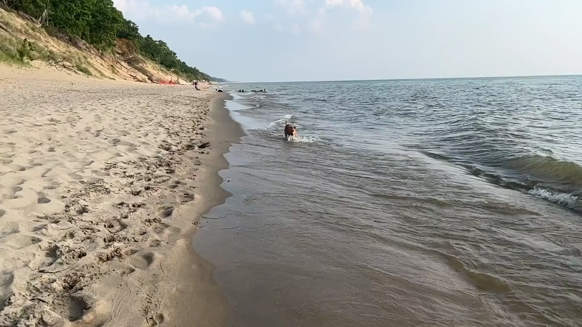 Lake Michigan slo-mo zoomies | Scrolller
