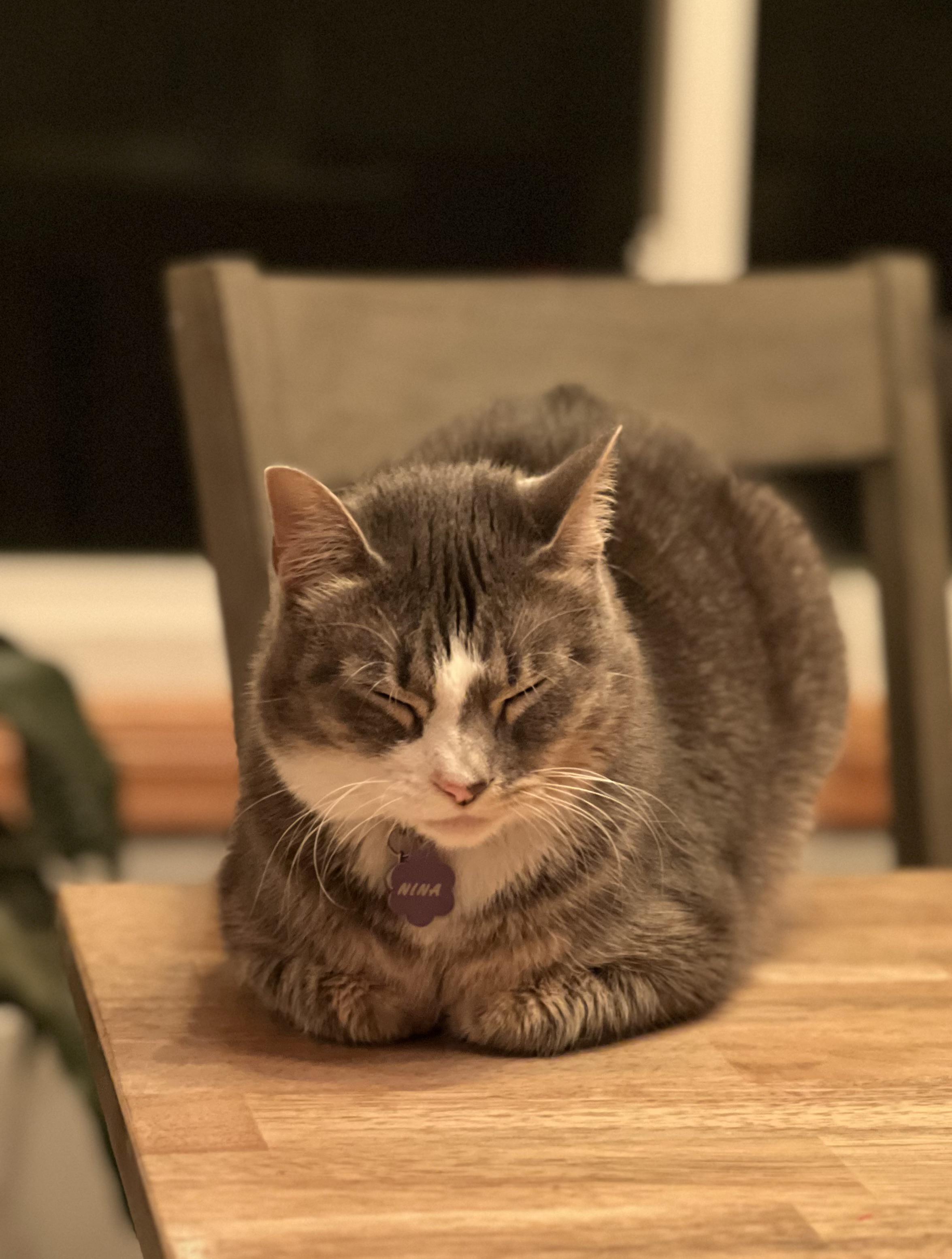 Late-night work buddy | Scrolller