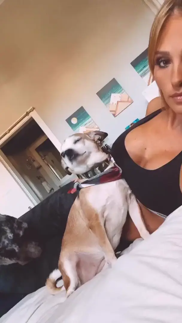 Laying down | Scrolller