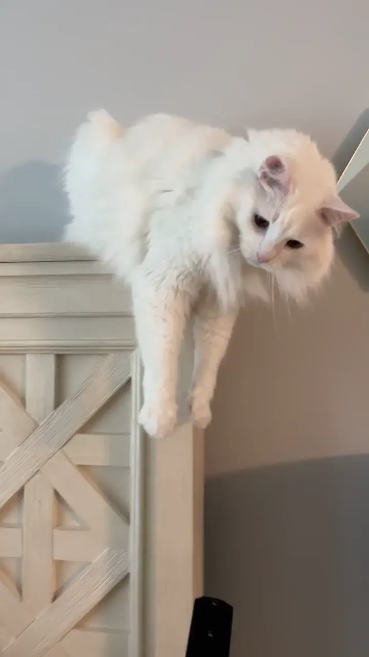 Lazy taps | Scrolller