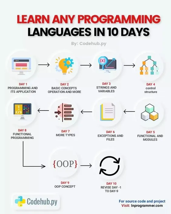 Learn Any Programming Language in 10 Days | Scrolller
