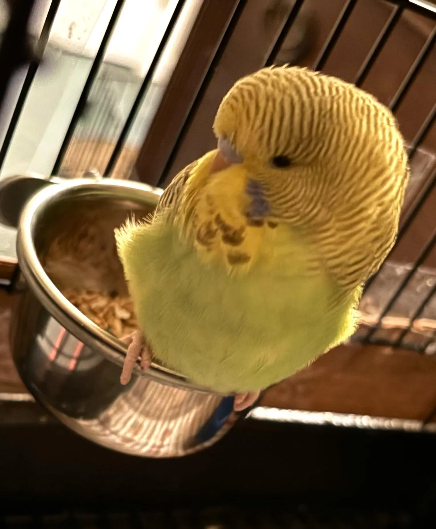 Lemon Lime Sprite | Scrolller