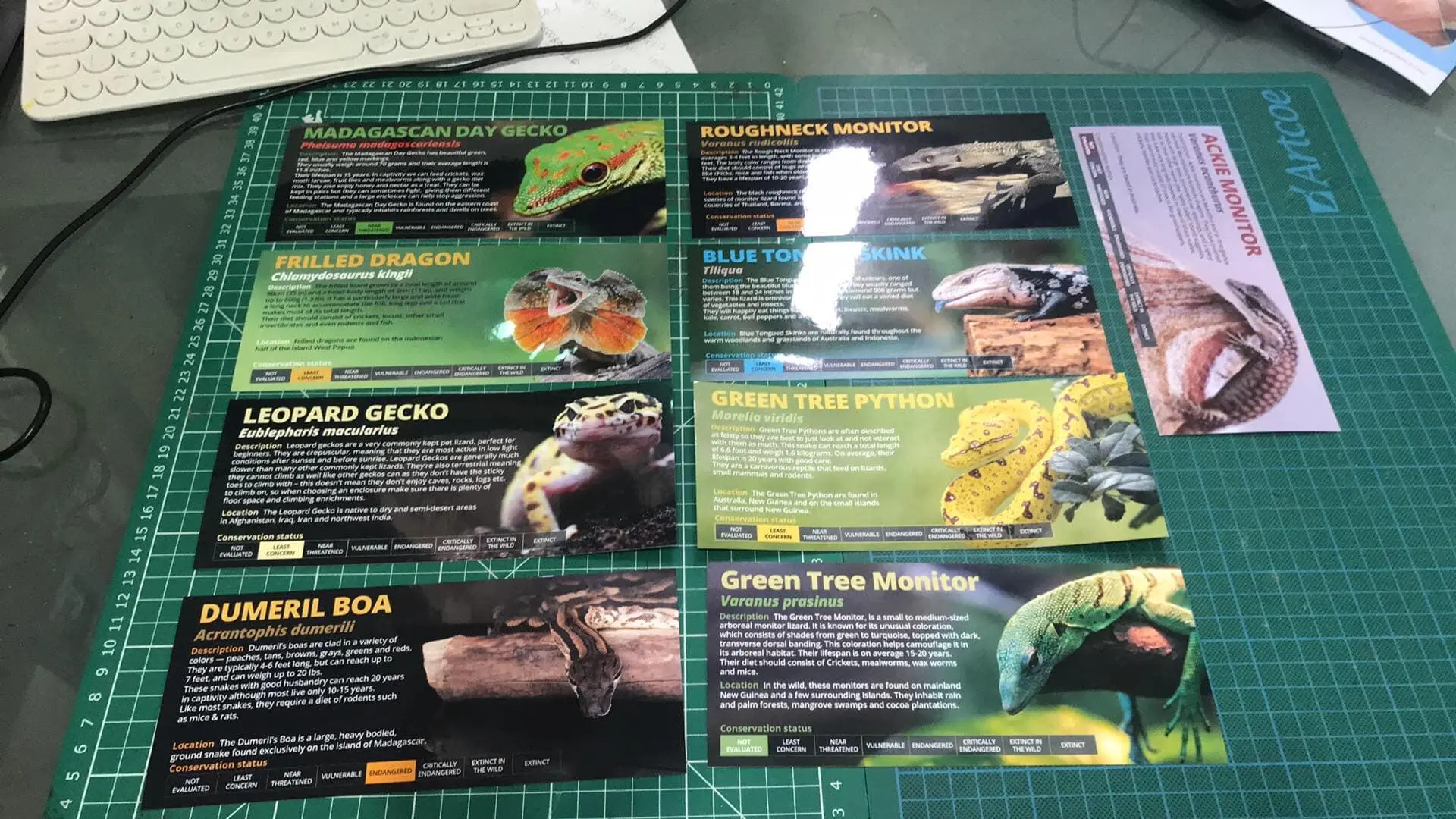 Let me know if you’d like details and I can message you :) | Scrolller