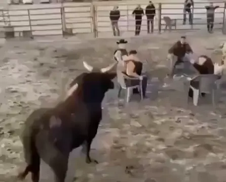 Let’s just sit here. It will be OK. | Scrolller