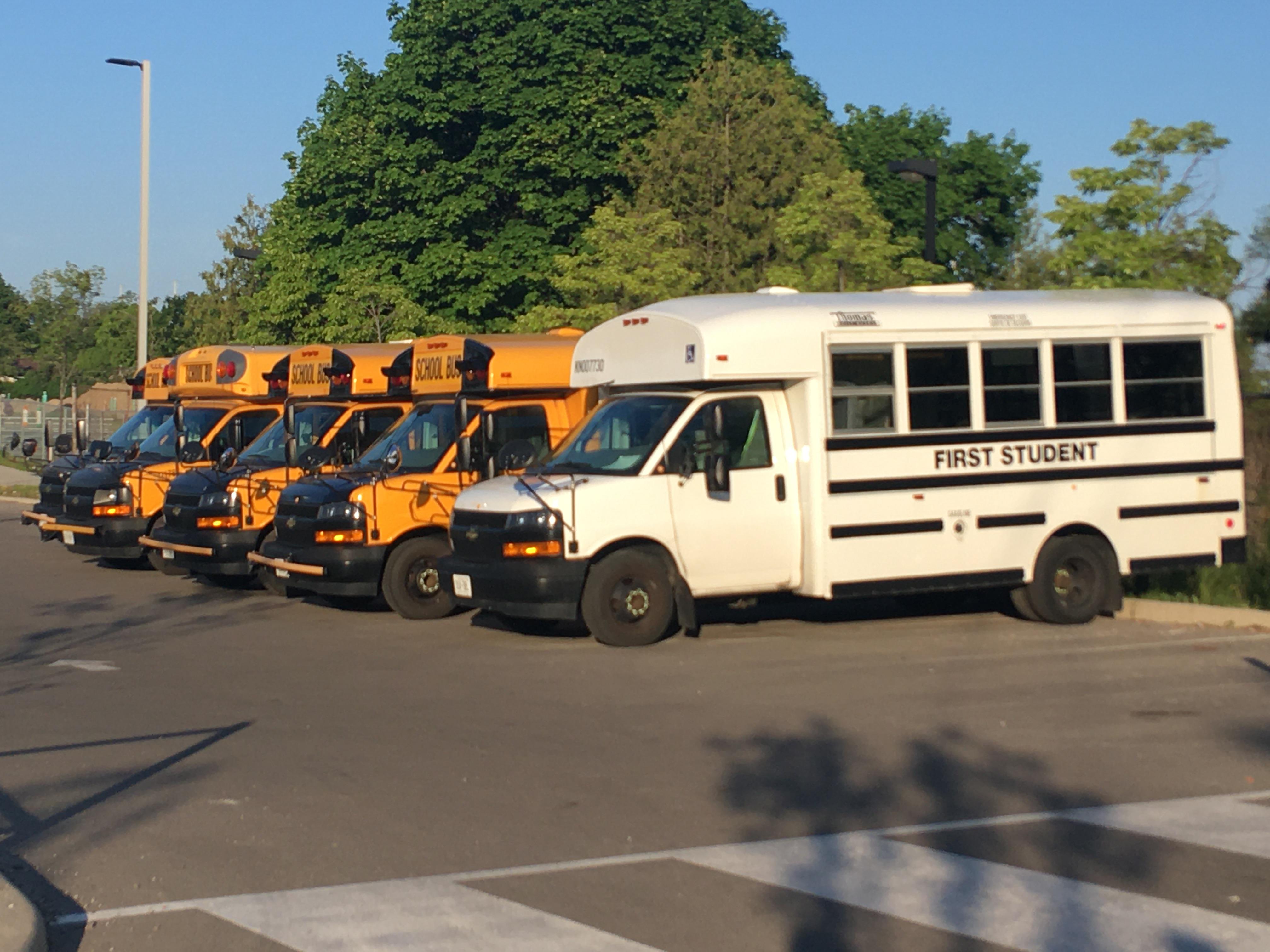 Leucistic school bus | Scrolller