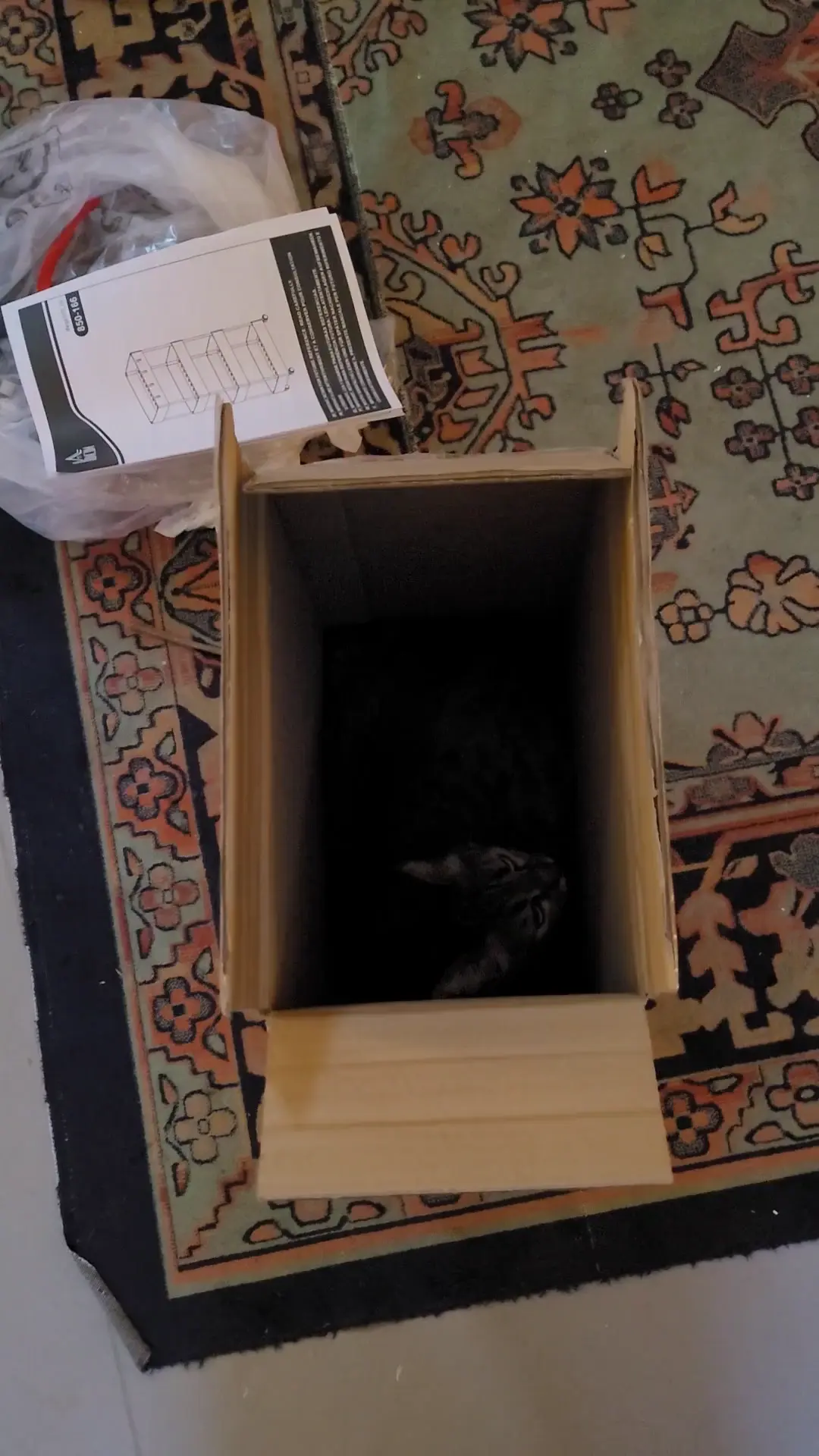 Discover more like StartledCats: Light in the box! and Related Content | Scrolller