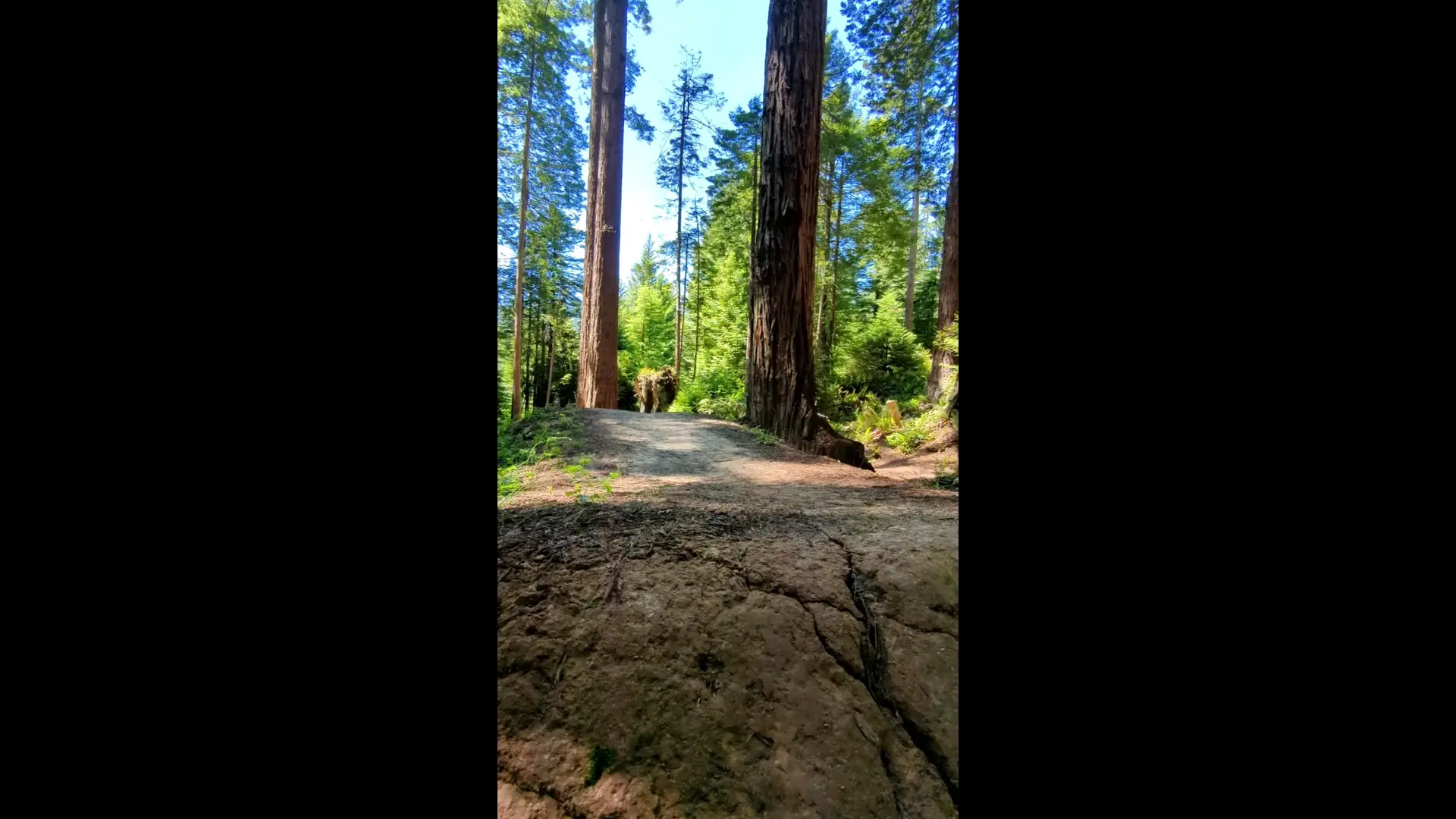 Lil' clip from yesterday | Scrolller