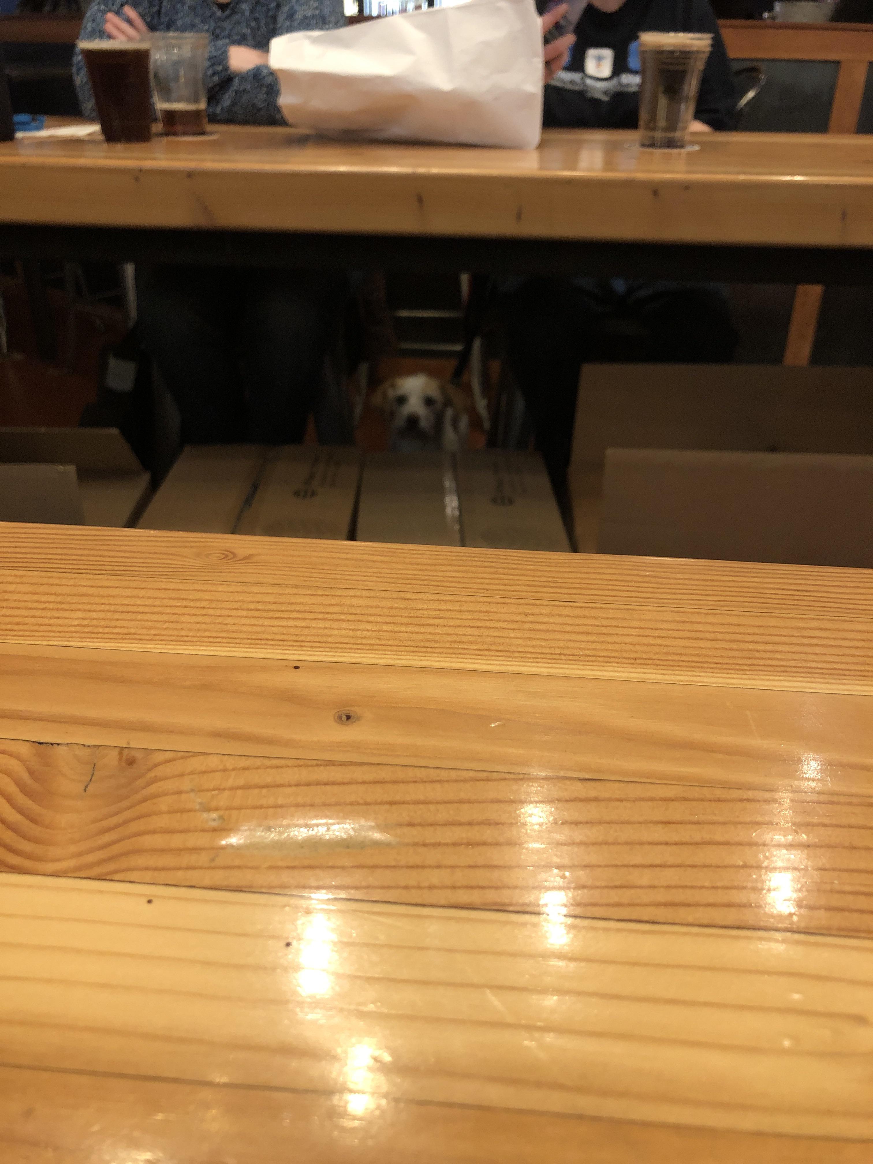 Lil’ Peeper at the bar | Scrolller