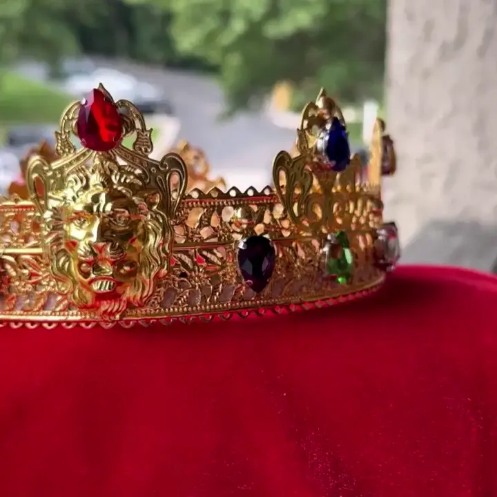 Lion rainbow 🌈 crown | Scrolller