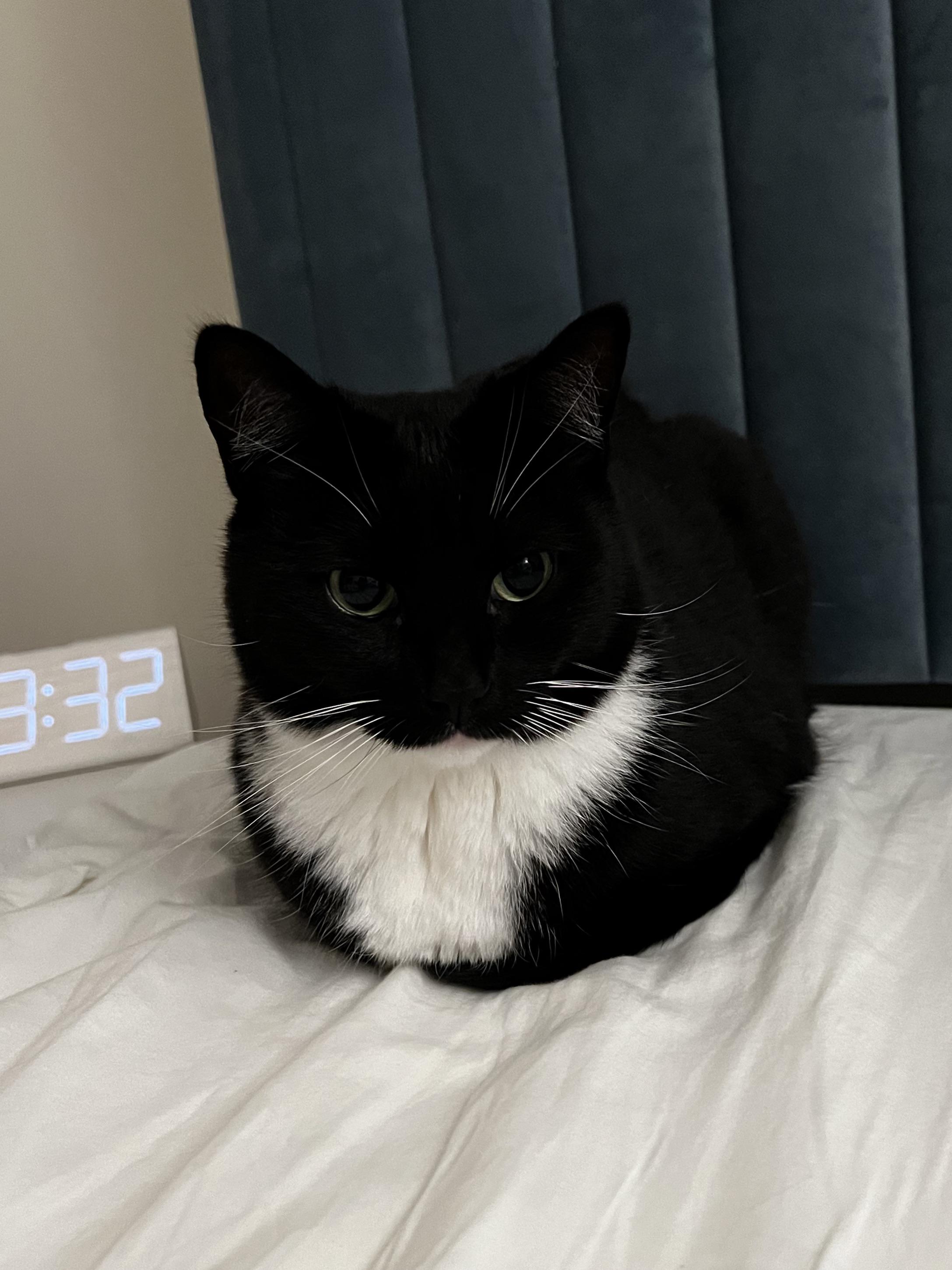 little loaf | Scrolller