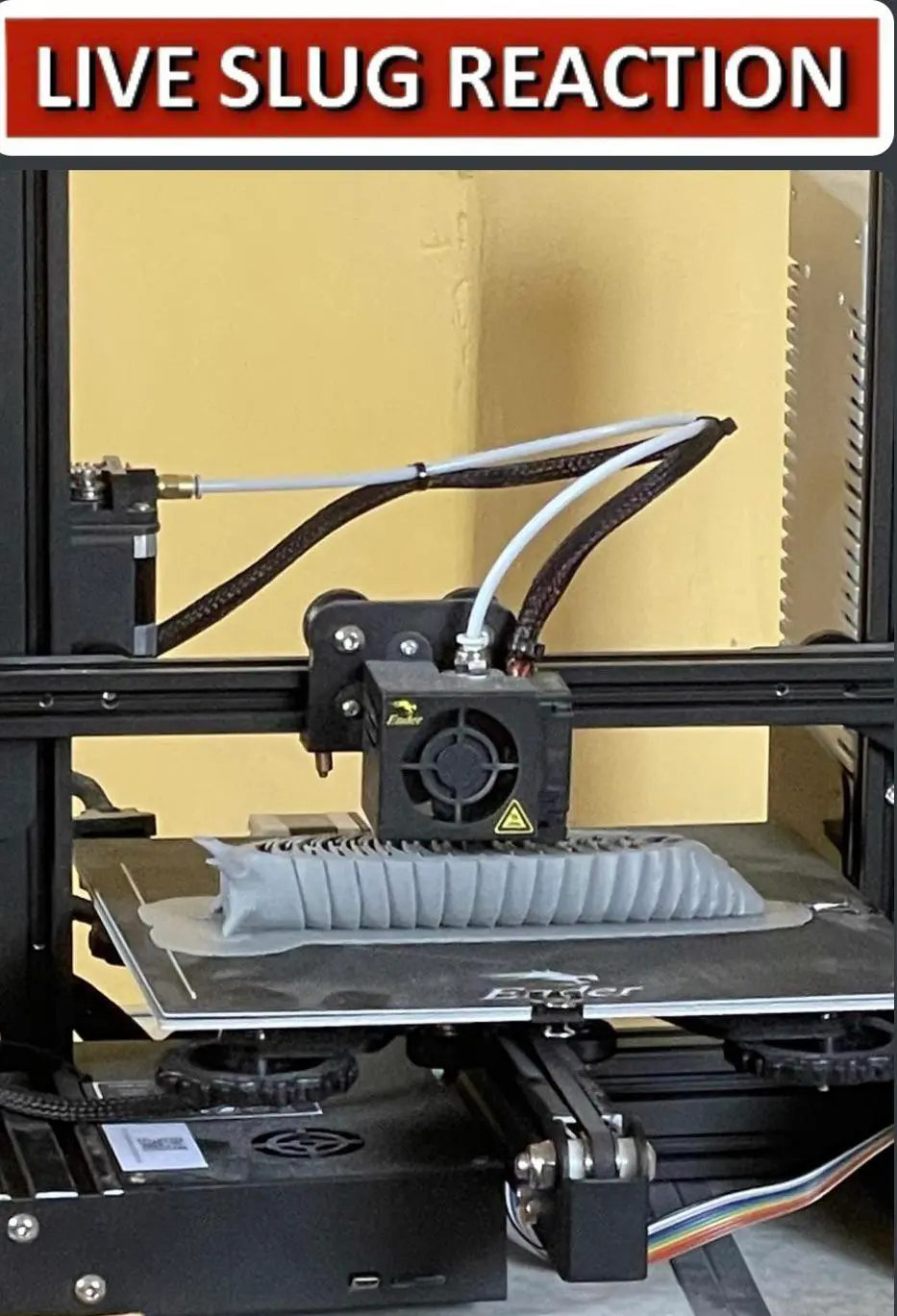 LIVE SLUG REACTION | Scrolller