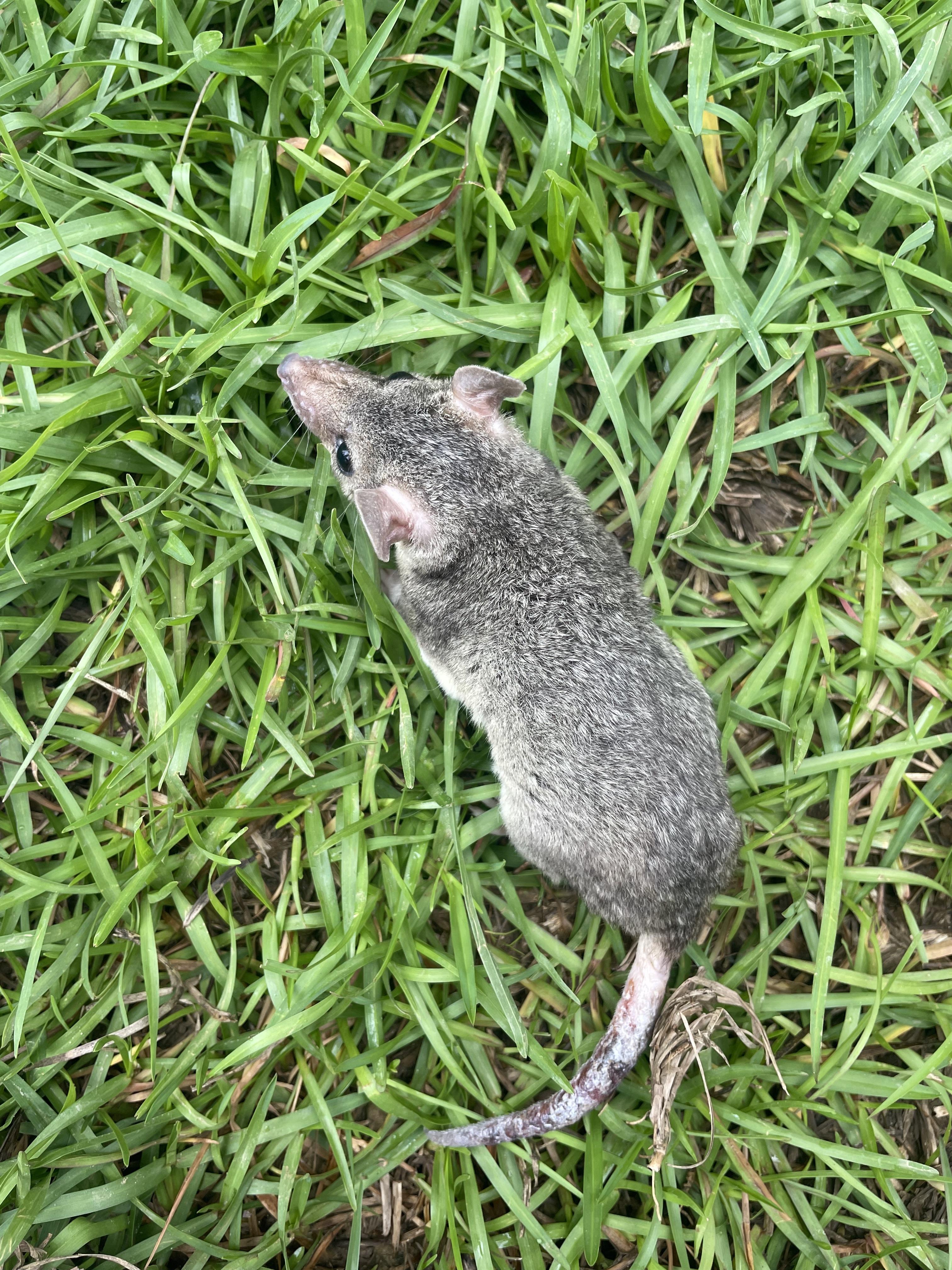 Discover more like PhotoshopRequest: $10. Please clean this up and brighten it and Related ...