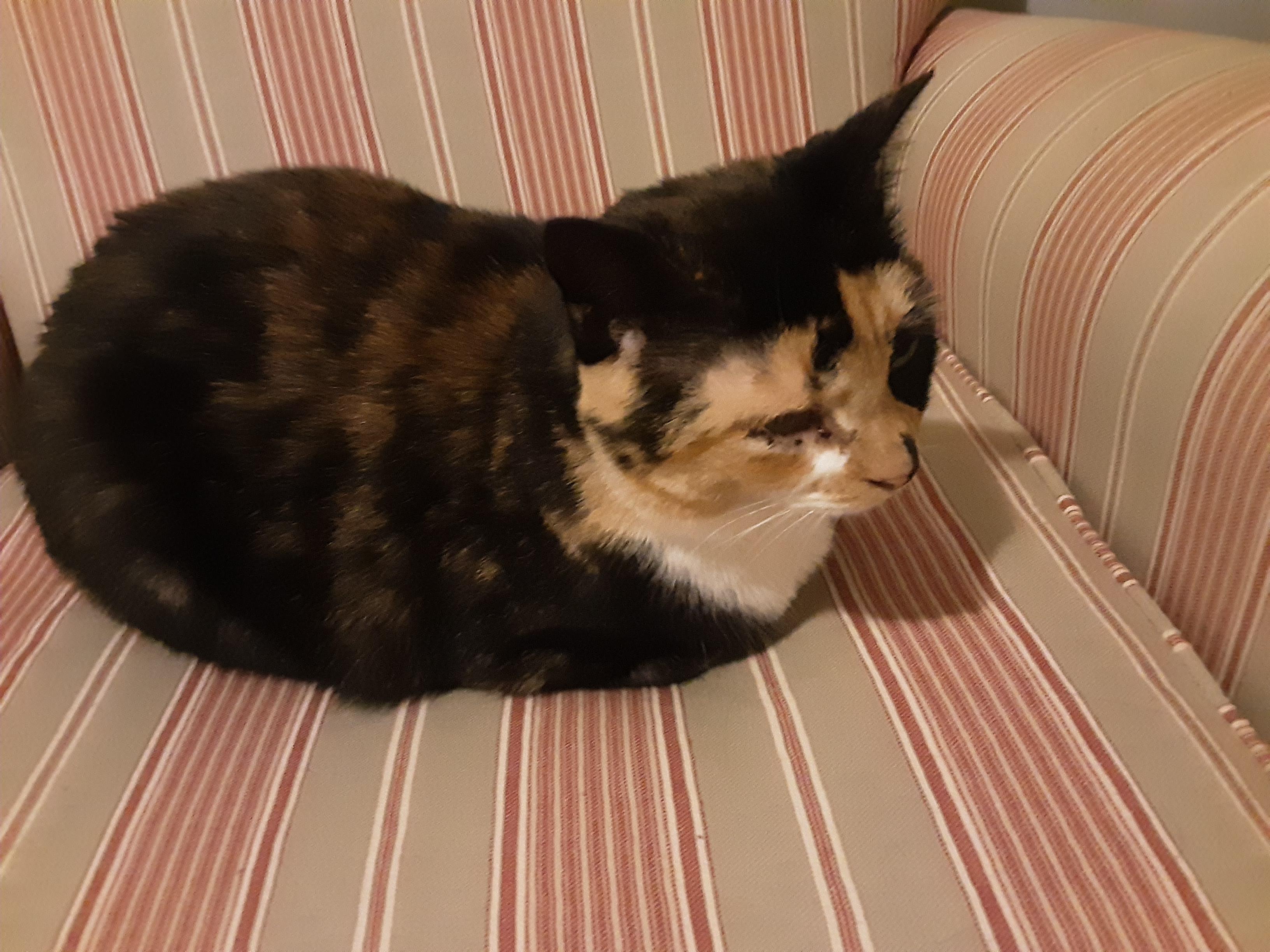 Loaf | Scrolller