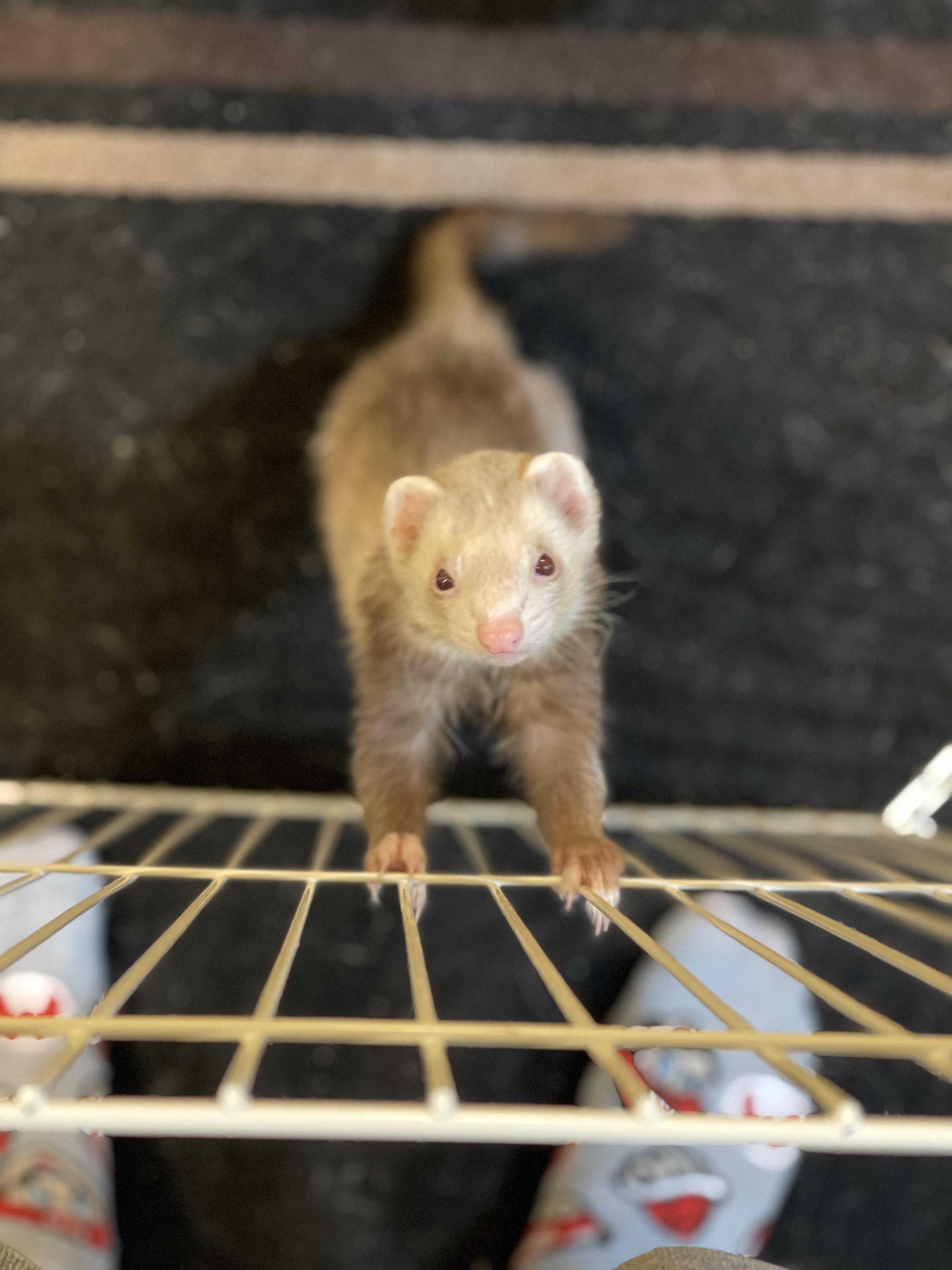 Looking for advice | Scrolller