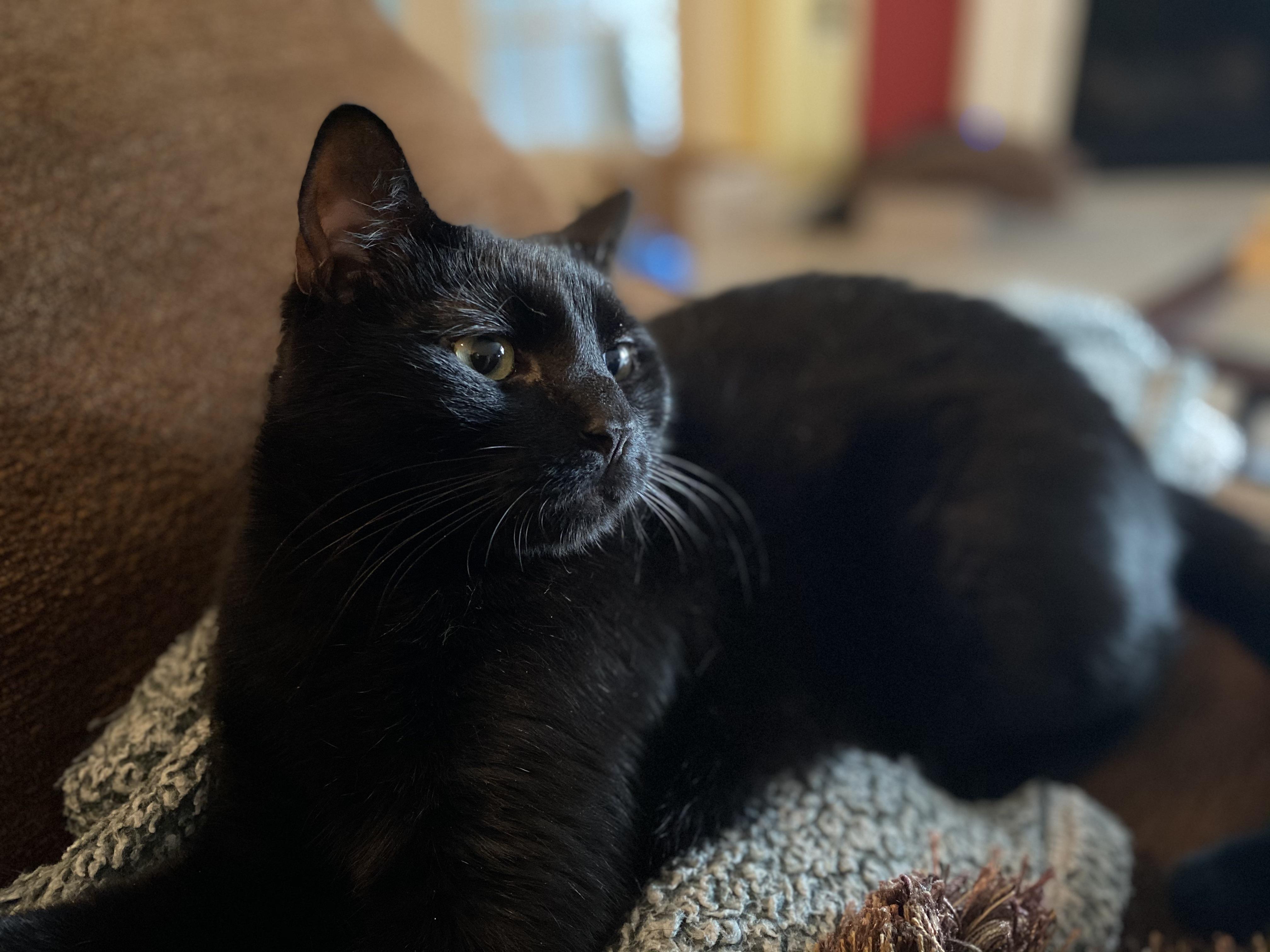 Looking handsome | Scrolller