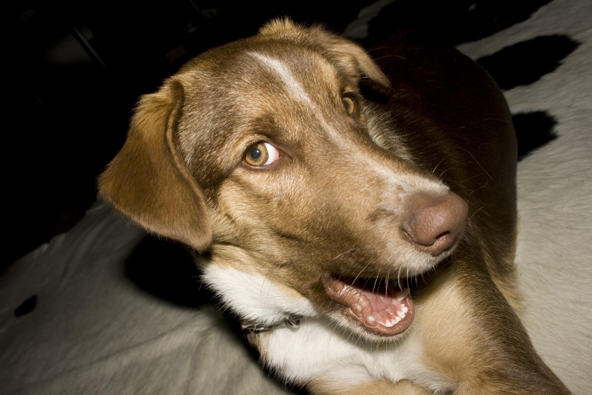 Bruno about 14 years ago | Scrolller