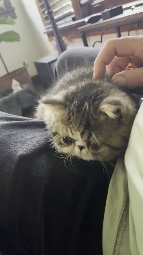 Lunch break snuggles | Scrolller