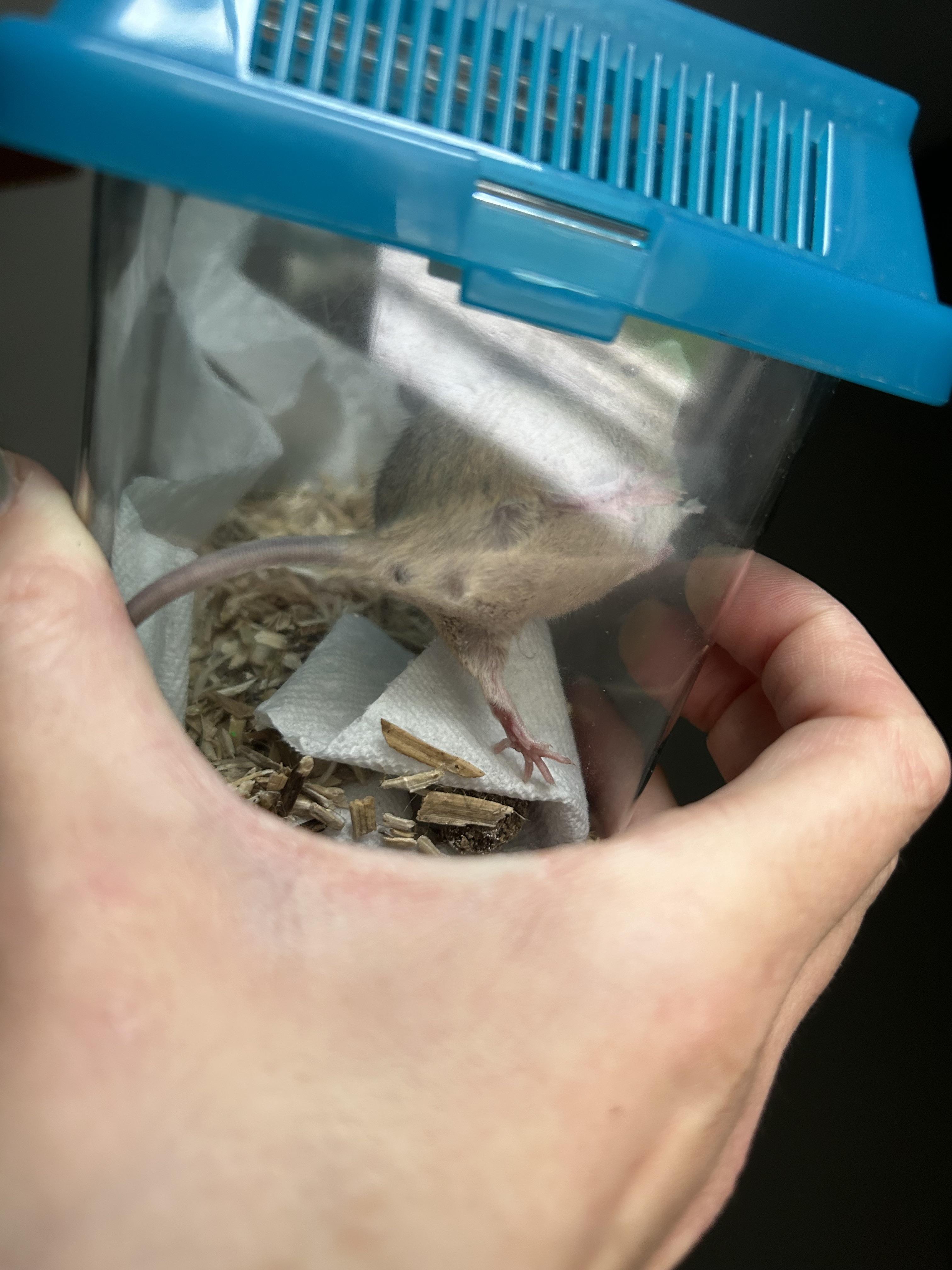 So frustrated. Is this actually a girl? | Scrolller