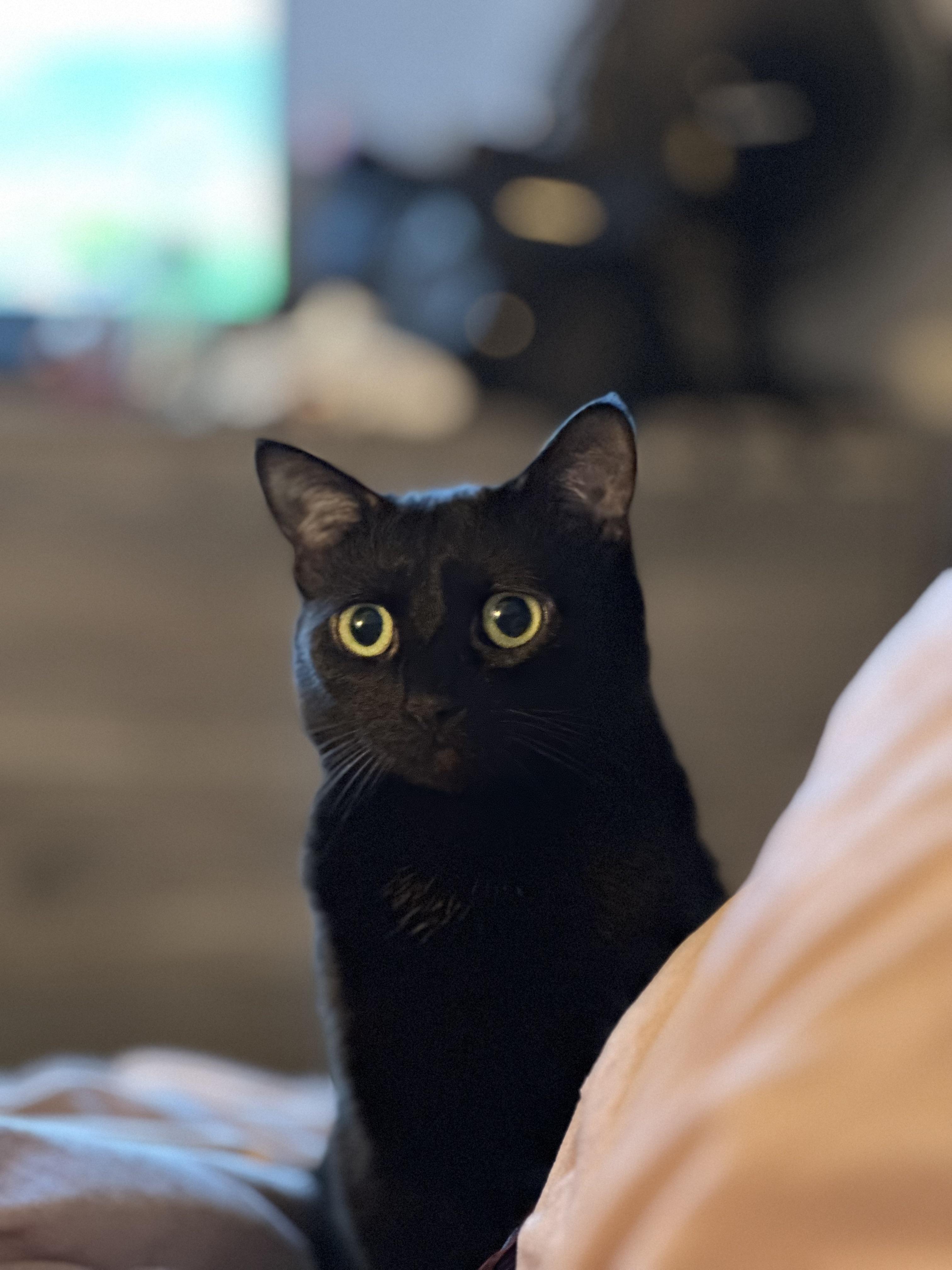 Siblings | Scrolller