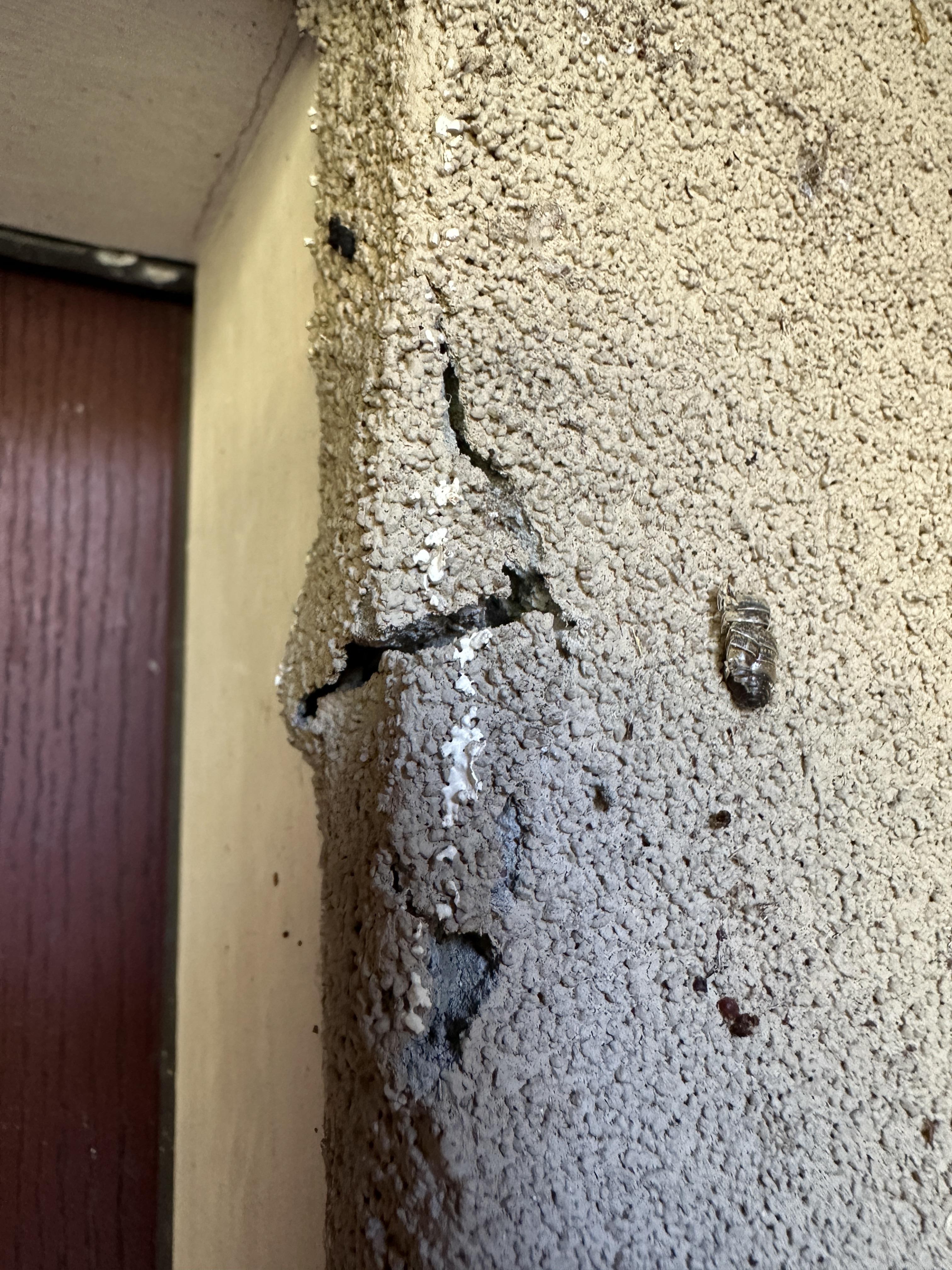 Easy way to repair this small stucco damage? | Scrolller
