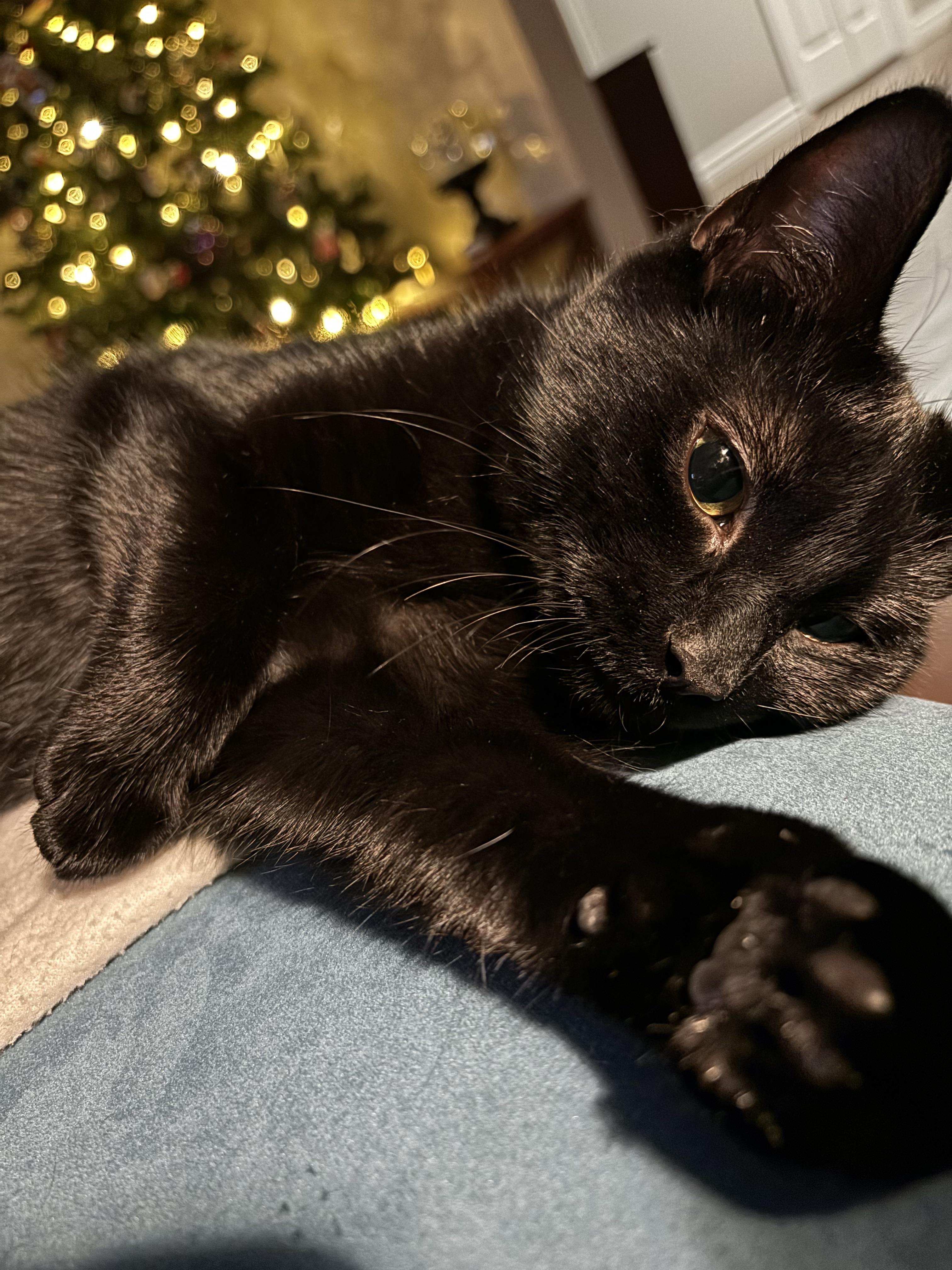 Goofball void is best void. | Scrolller