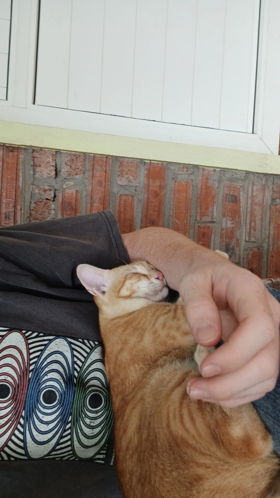 Little Saigon has returned 🥹 | Scrolller