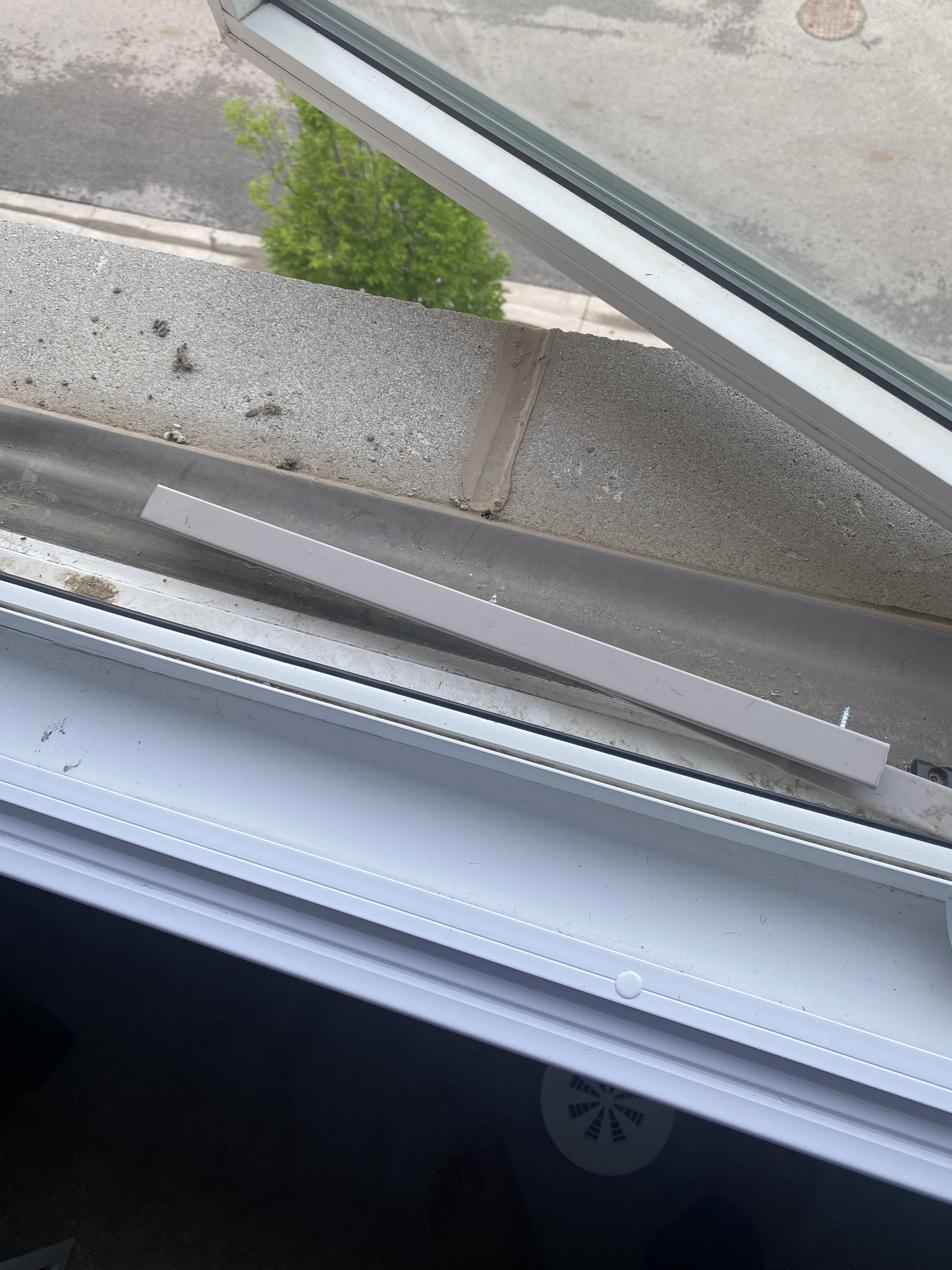 Window sill bulge | Scrolller