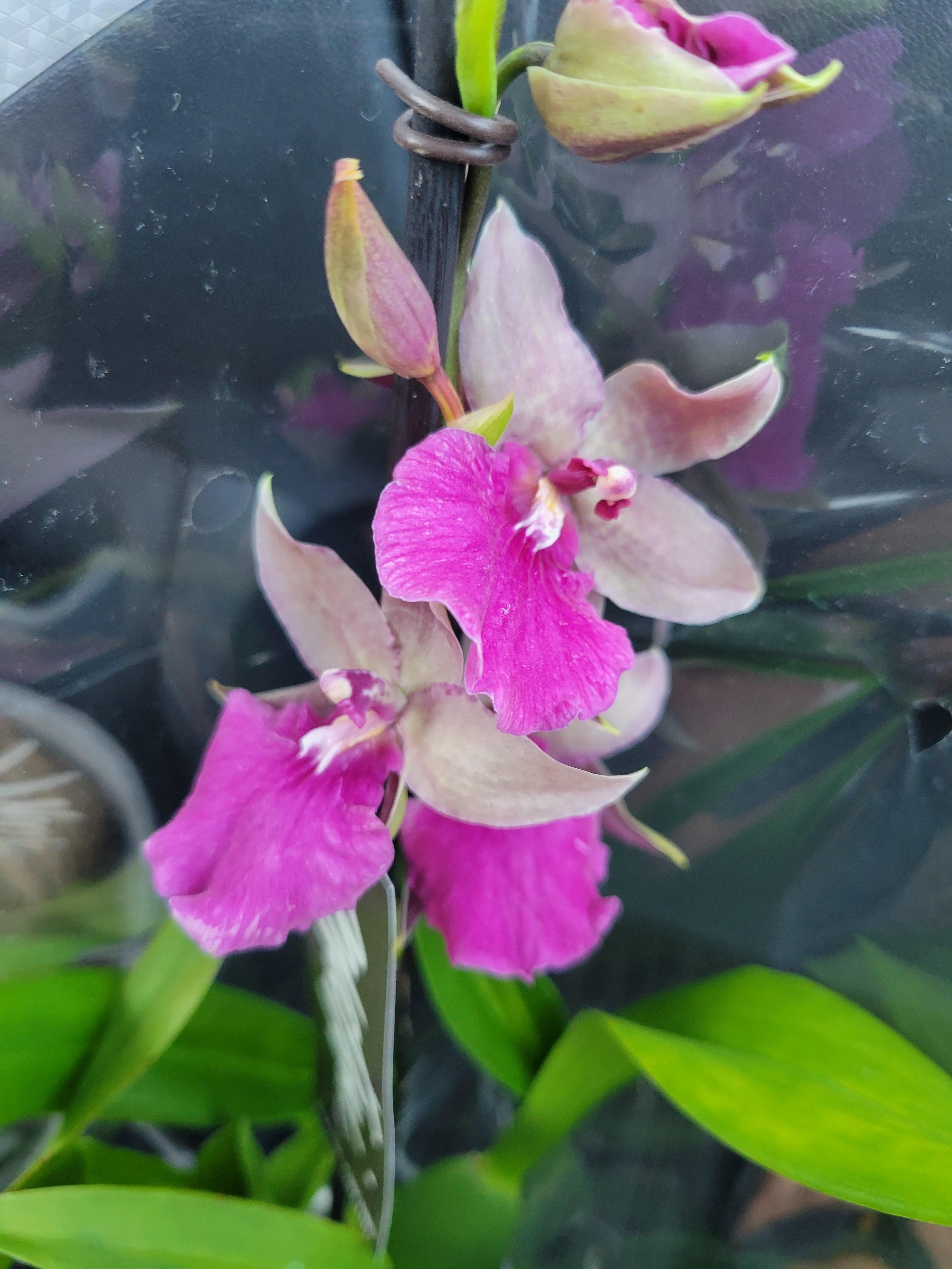 Some amazing colors at Trader Joe's! | Scrolller