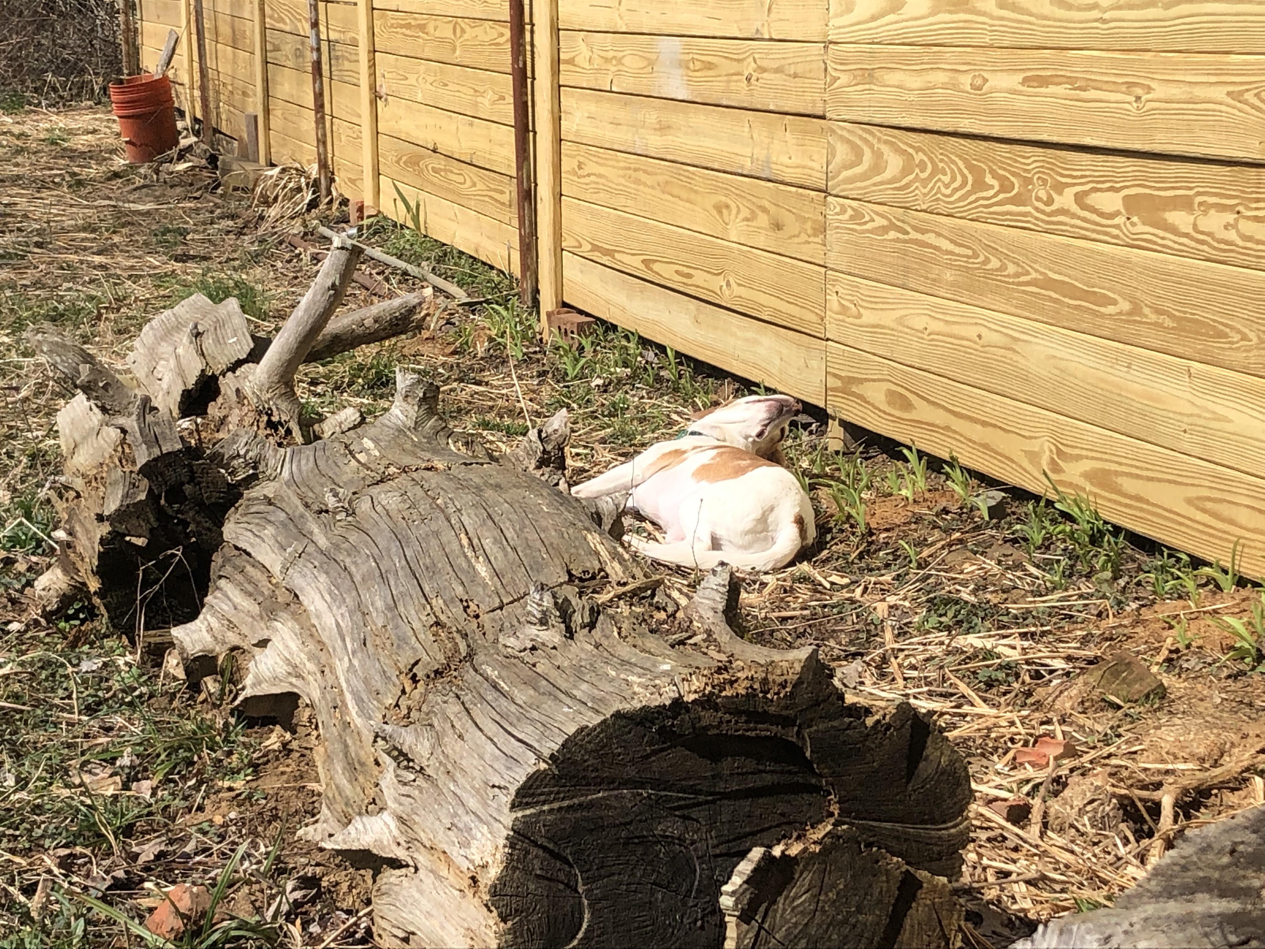 He’s melting | Scrolller