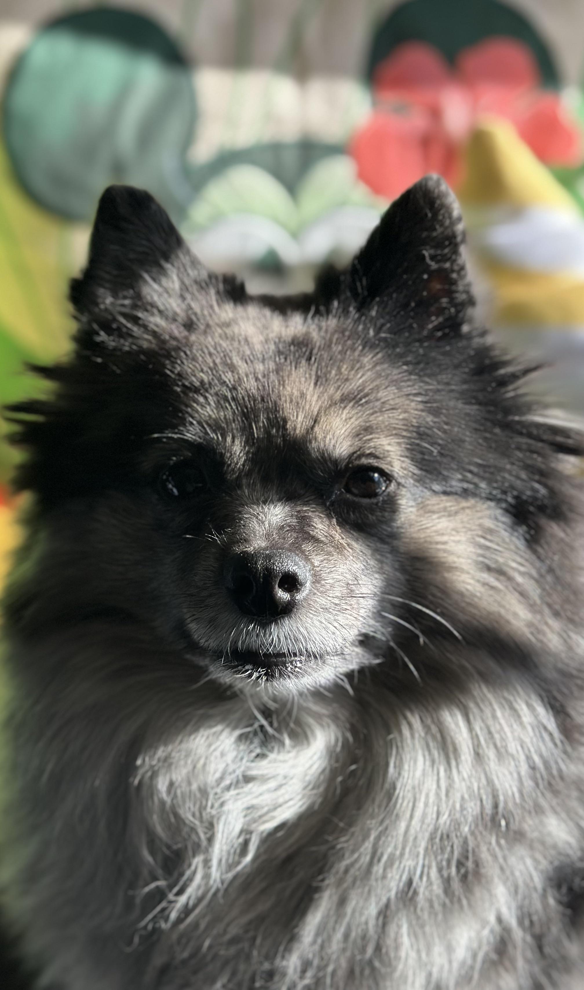 Impromptu Photoshoot | Scrolller