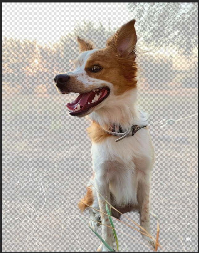 Help with selecting fur and hair, $20 for detailed instructions | Scrolller