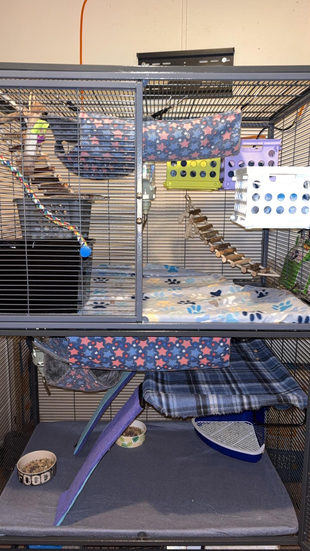 Update on the goon squad | Scrolller